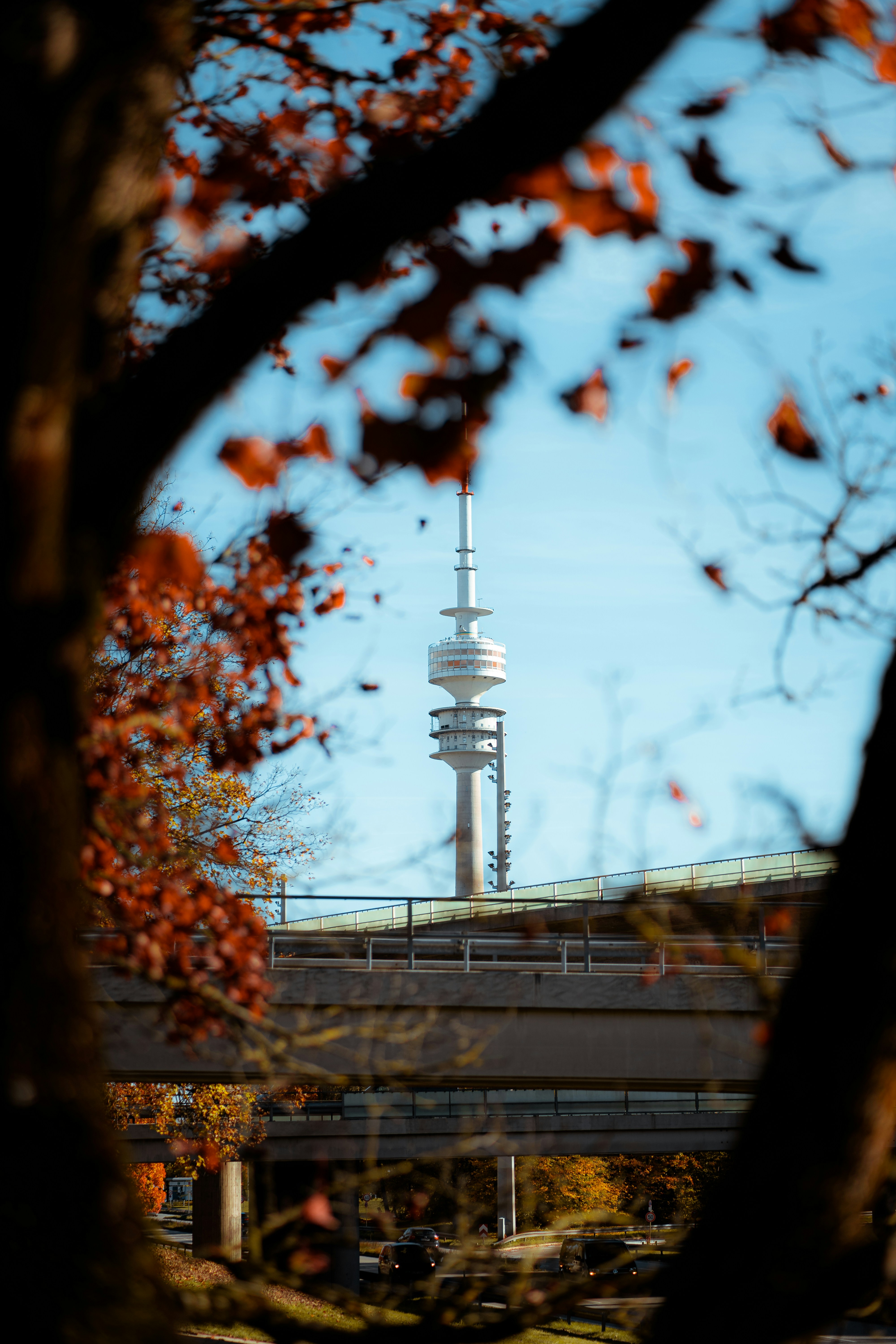 Towering Signal Amid Autumn Framing