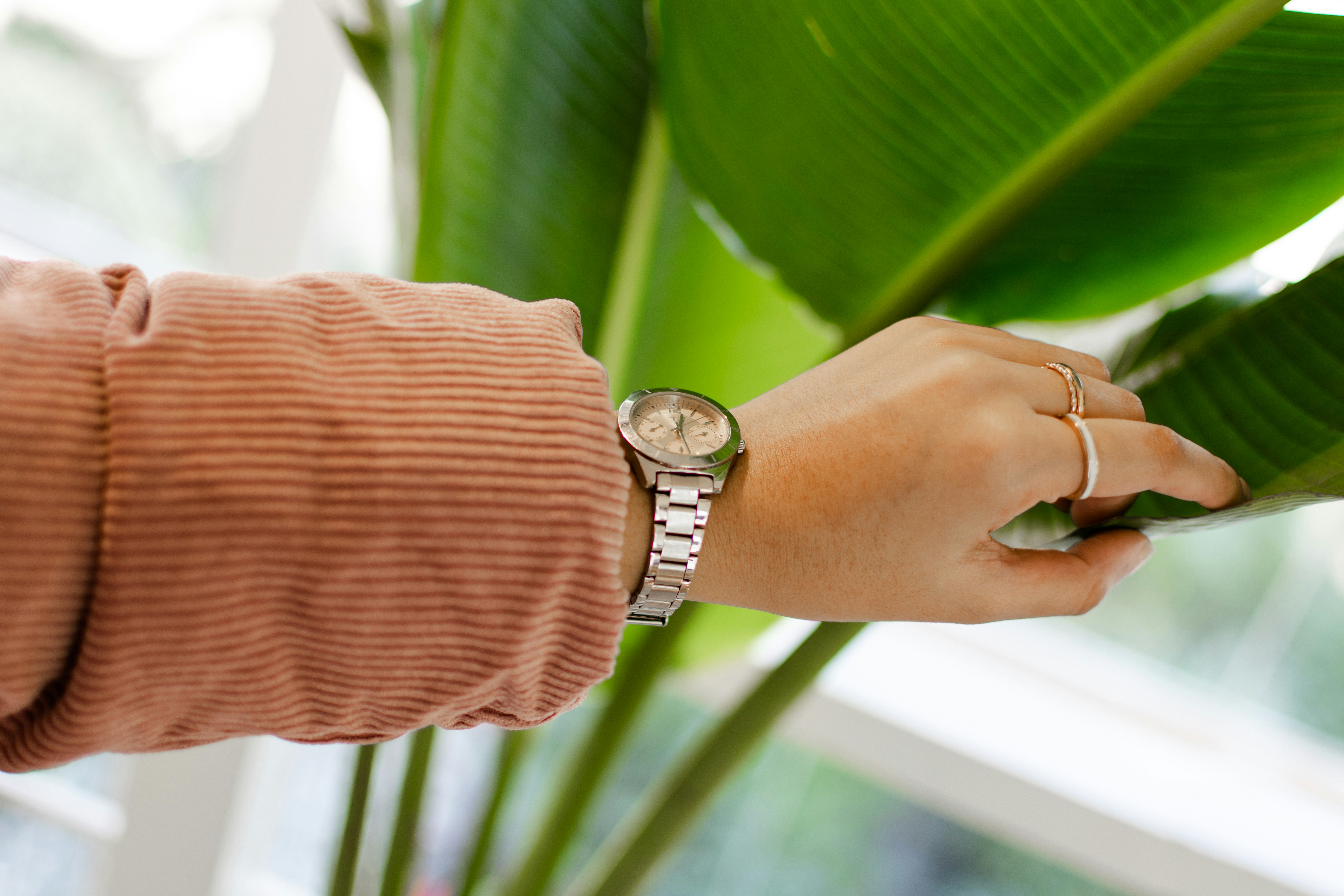 Quiet Reach: A Silver Watch Touches Lush Green Leaves