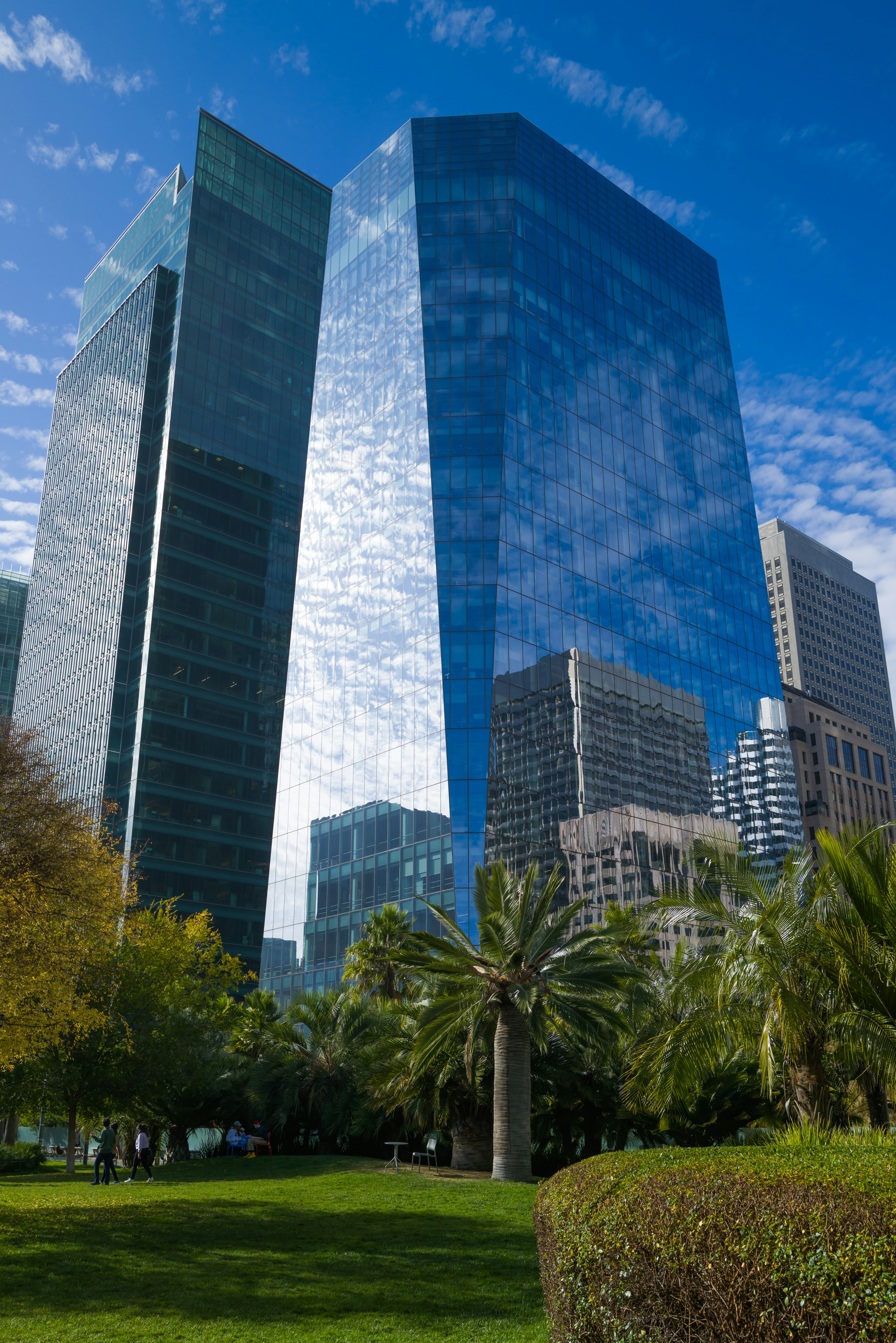 Glass Giants Rising Above a Palm-Outlined Park