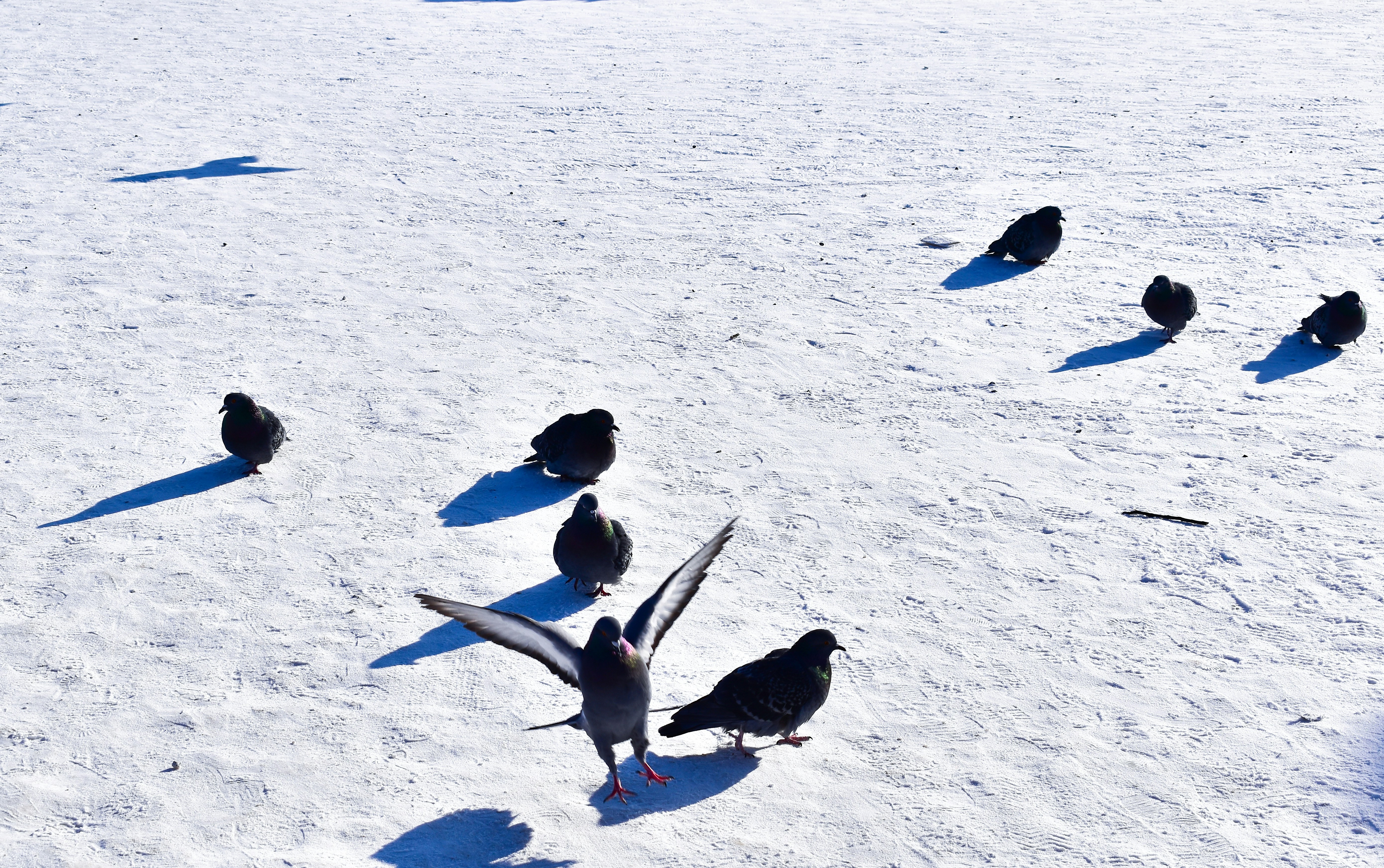 Photo by Anna Minina with Nikon D5600