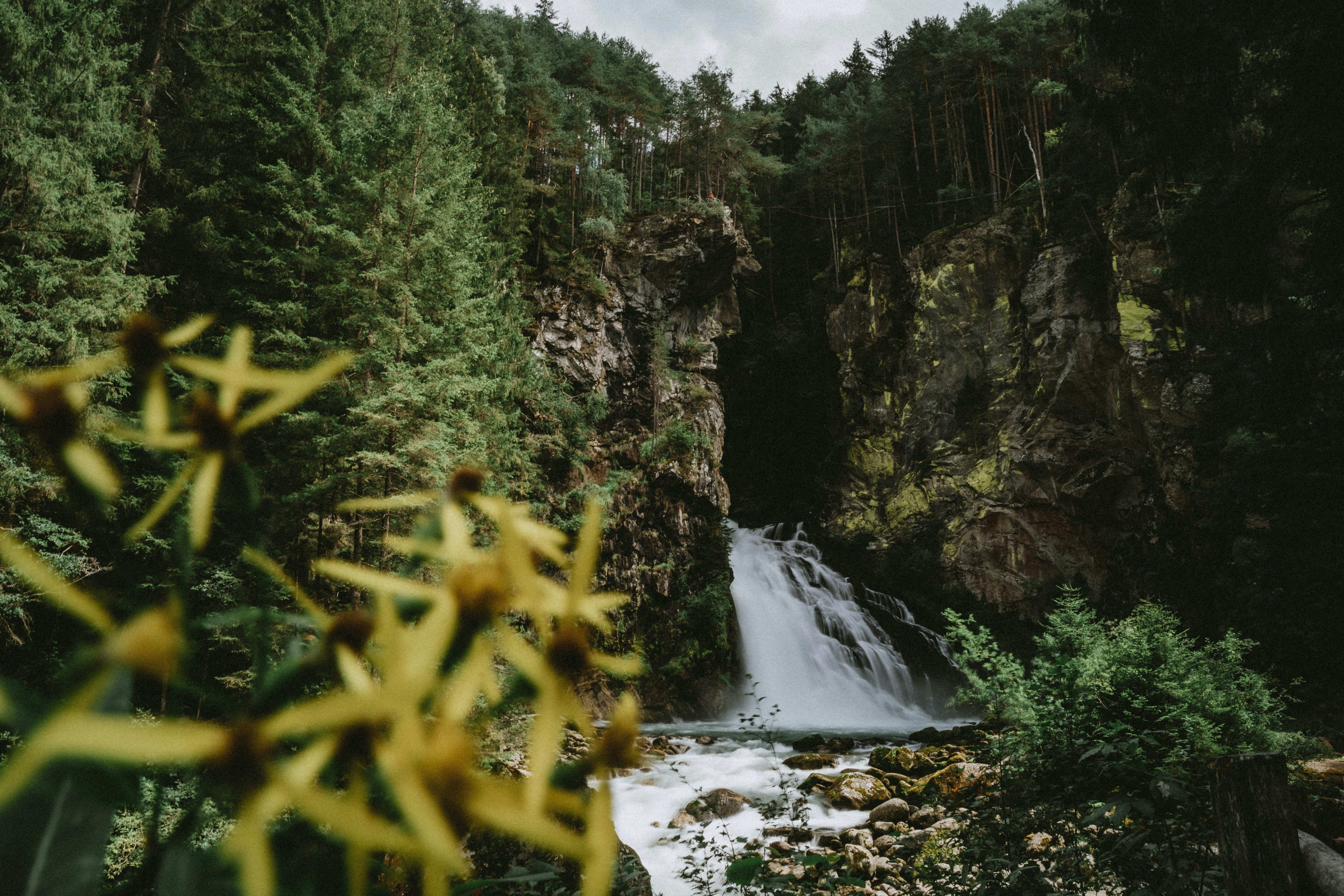 Waterfall cascading through a forested gorge with yellow flowers in the foreground under a cloudy sky.