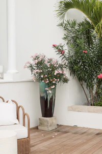 Soft Pink Bloom in a Sunlit Ceramic Vase on a White Terrace