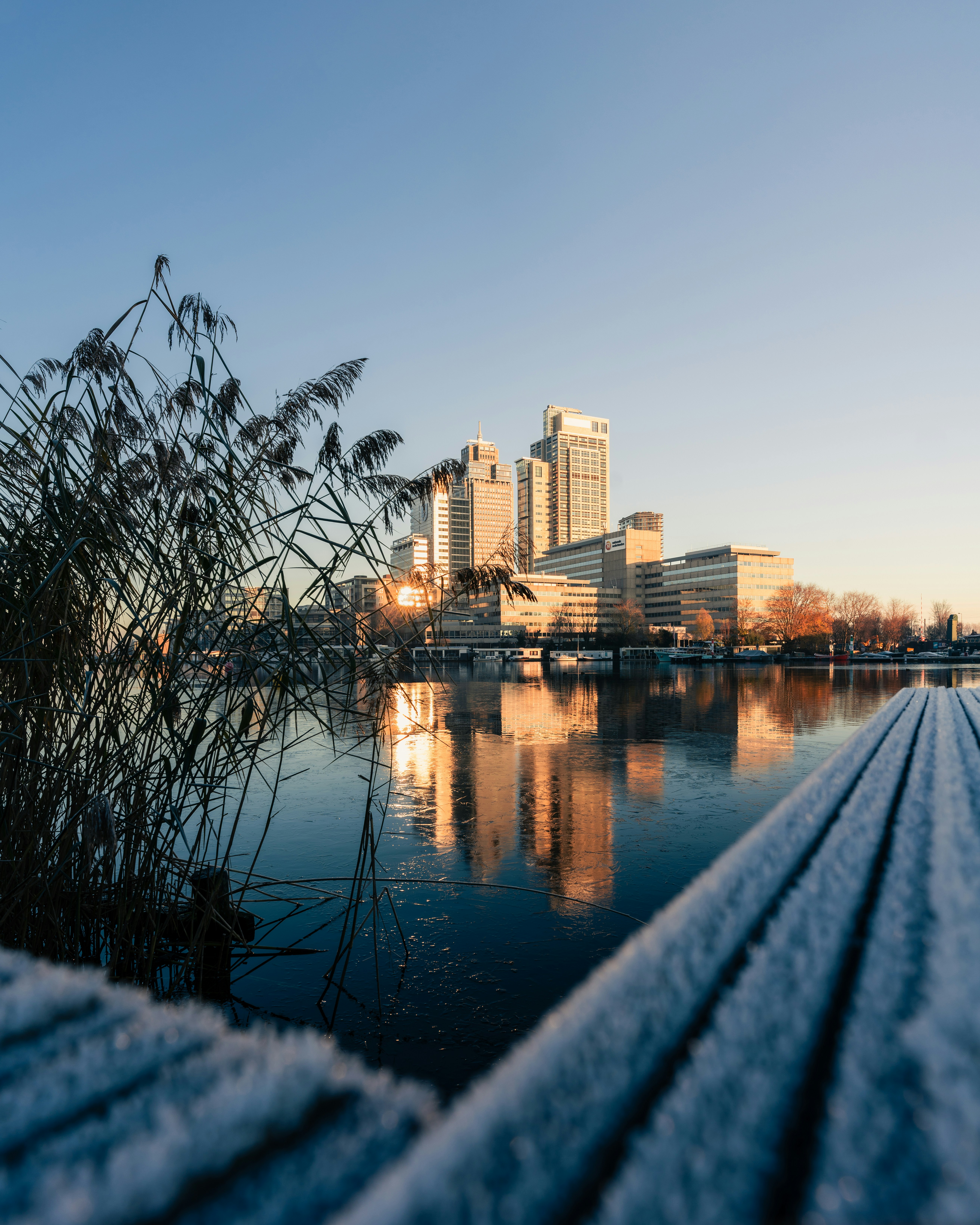 Photo by Luis van den Bos with Sony Alpha 7R III