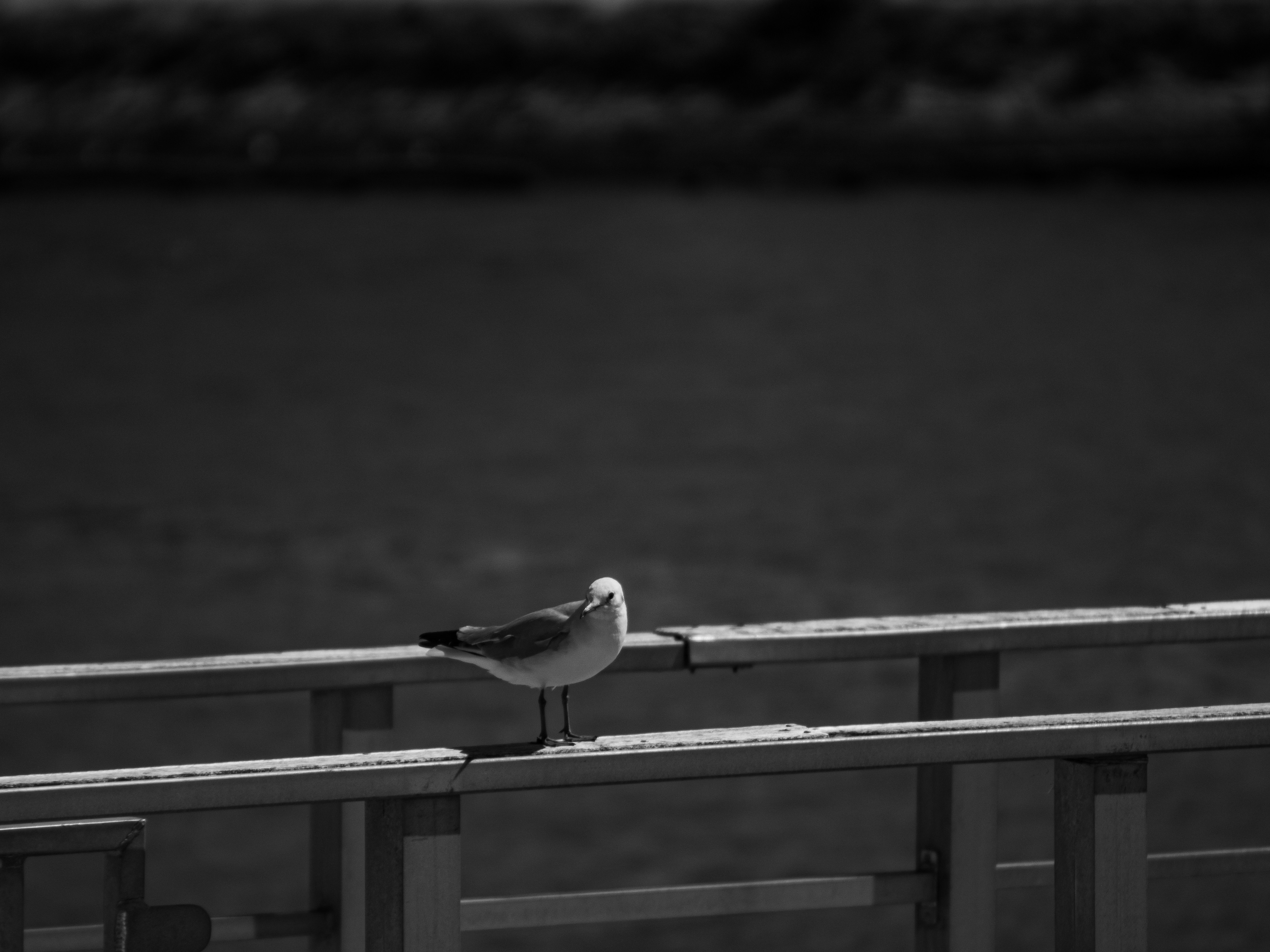 Photo by Sébastien Bloesch with Olympus OM-D E-M10 Mark II