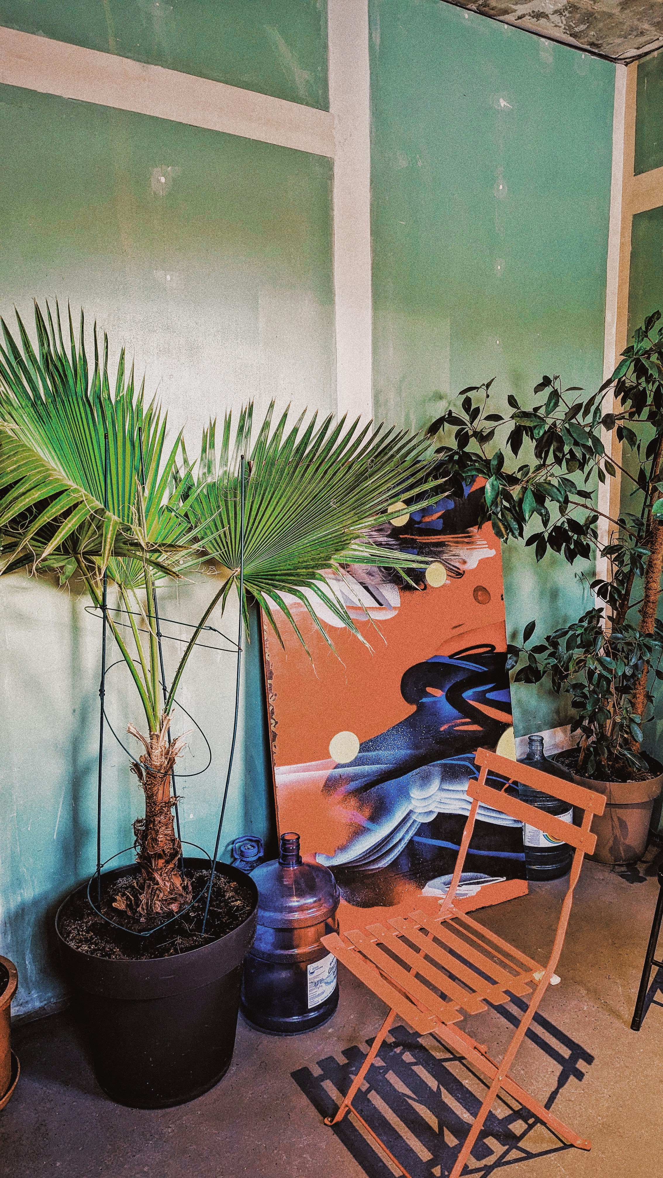 a room with a chair and a palm tree
