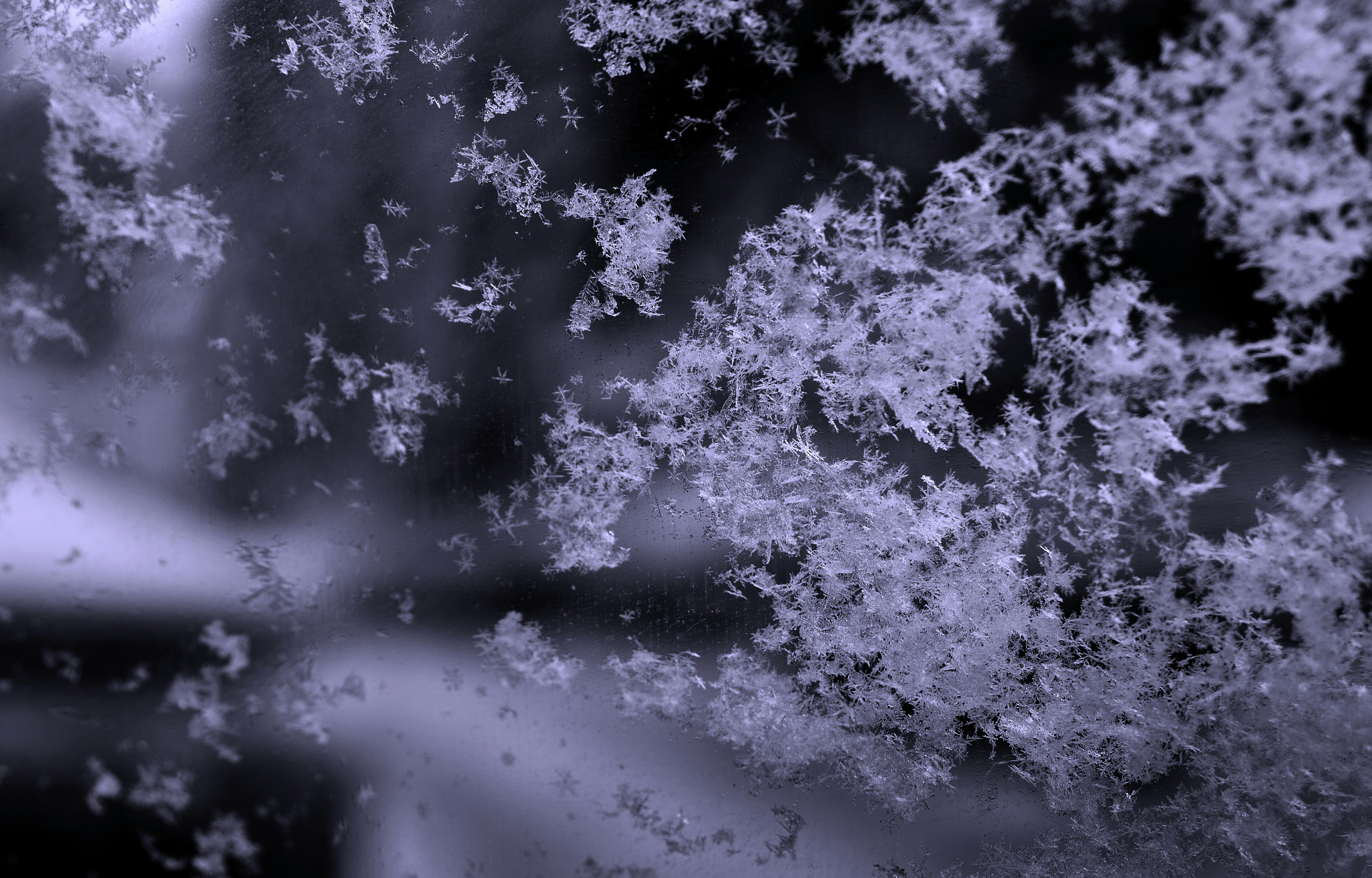 Delicate frost patterns on a window captured in soft lighting.