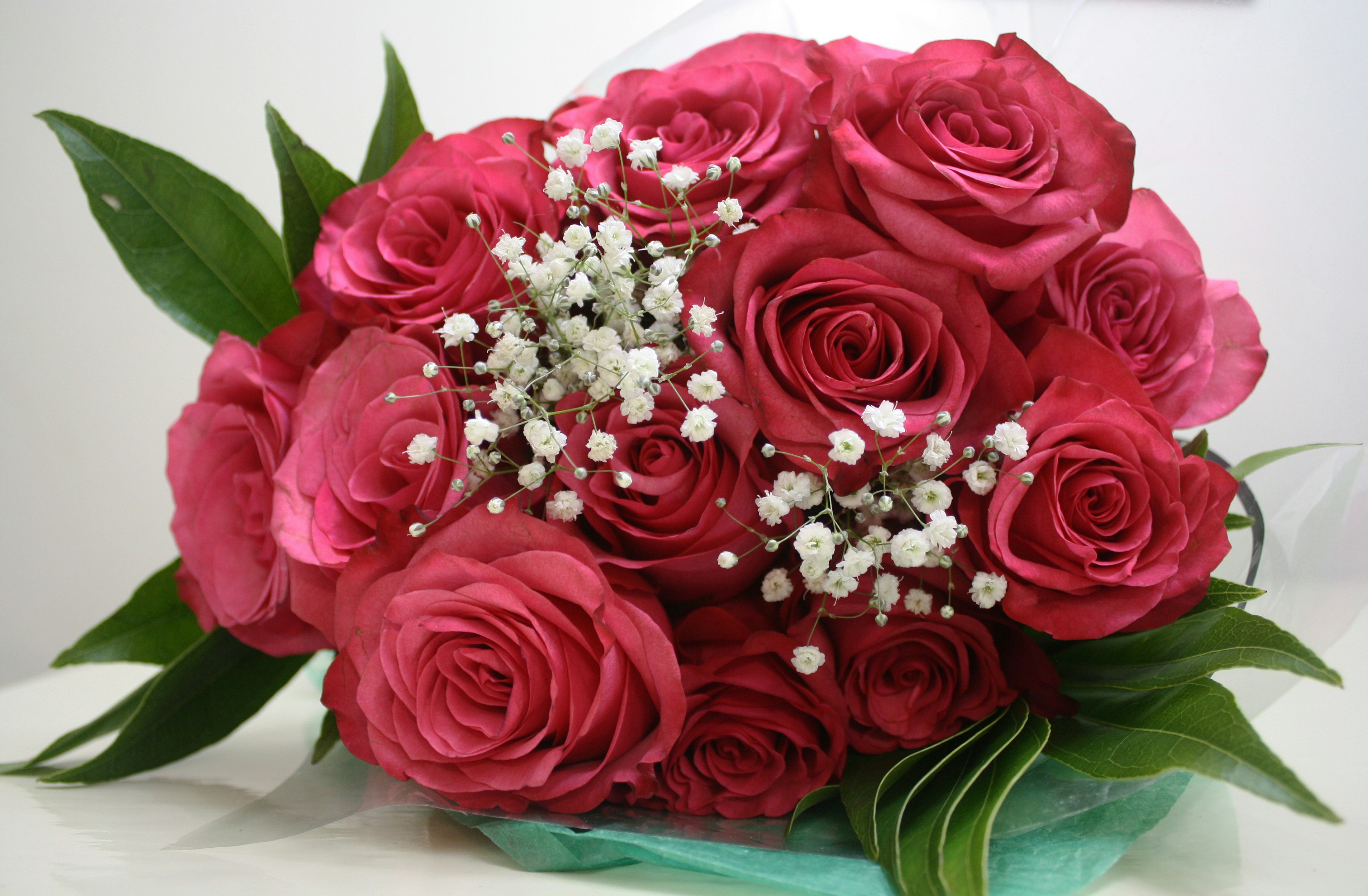A bouquet of red roses with baby's breath photo – Free Flower ...