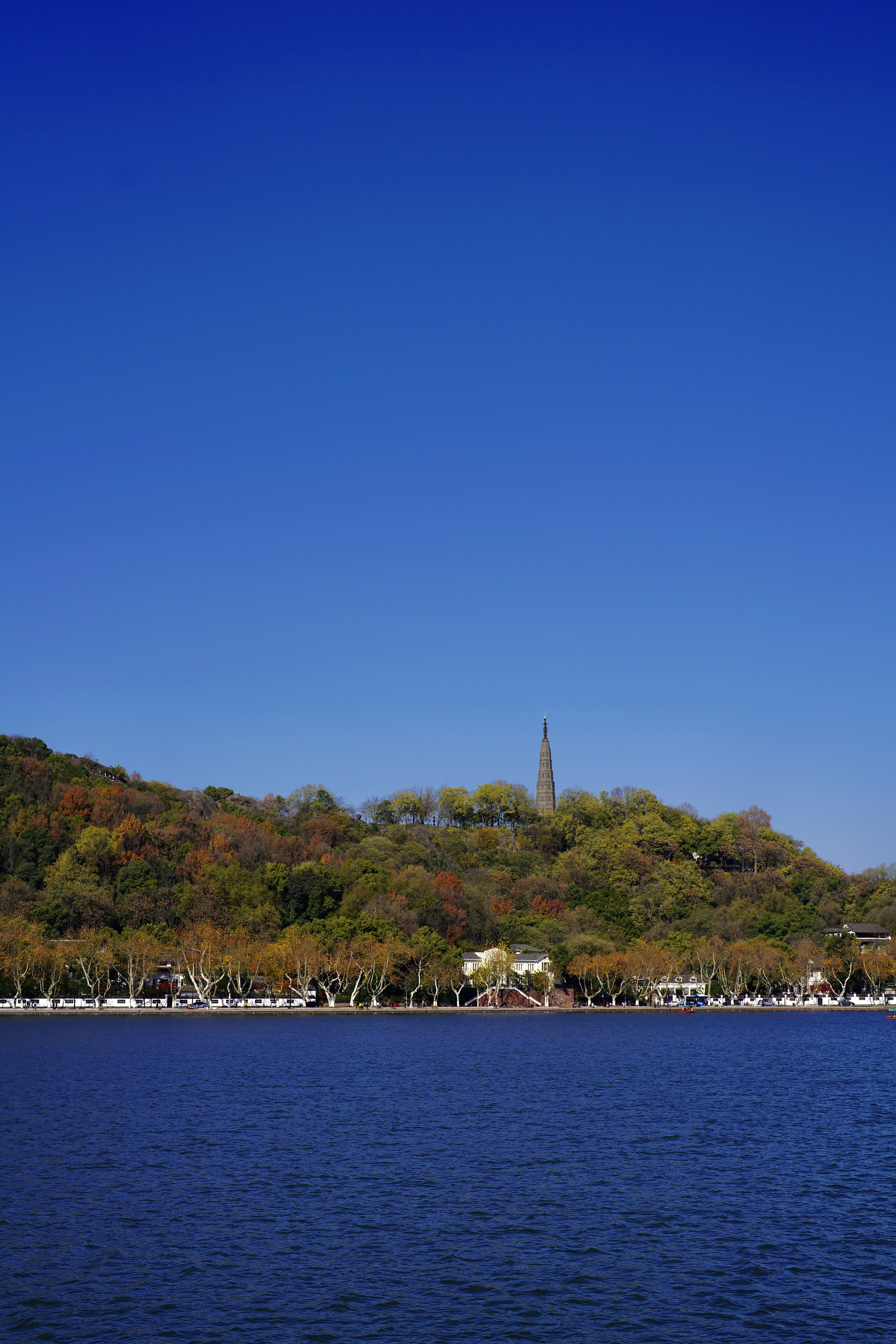 Lin Lone (@linlone) | Unsplash 사진 커뮤니티