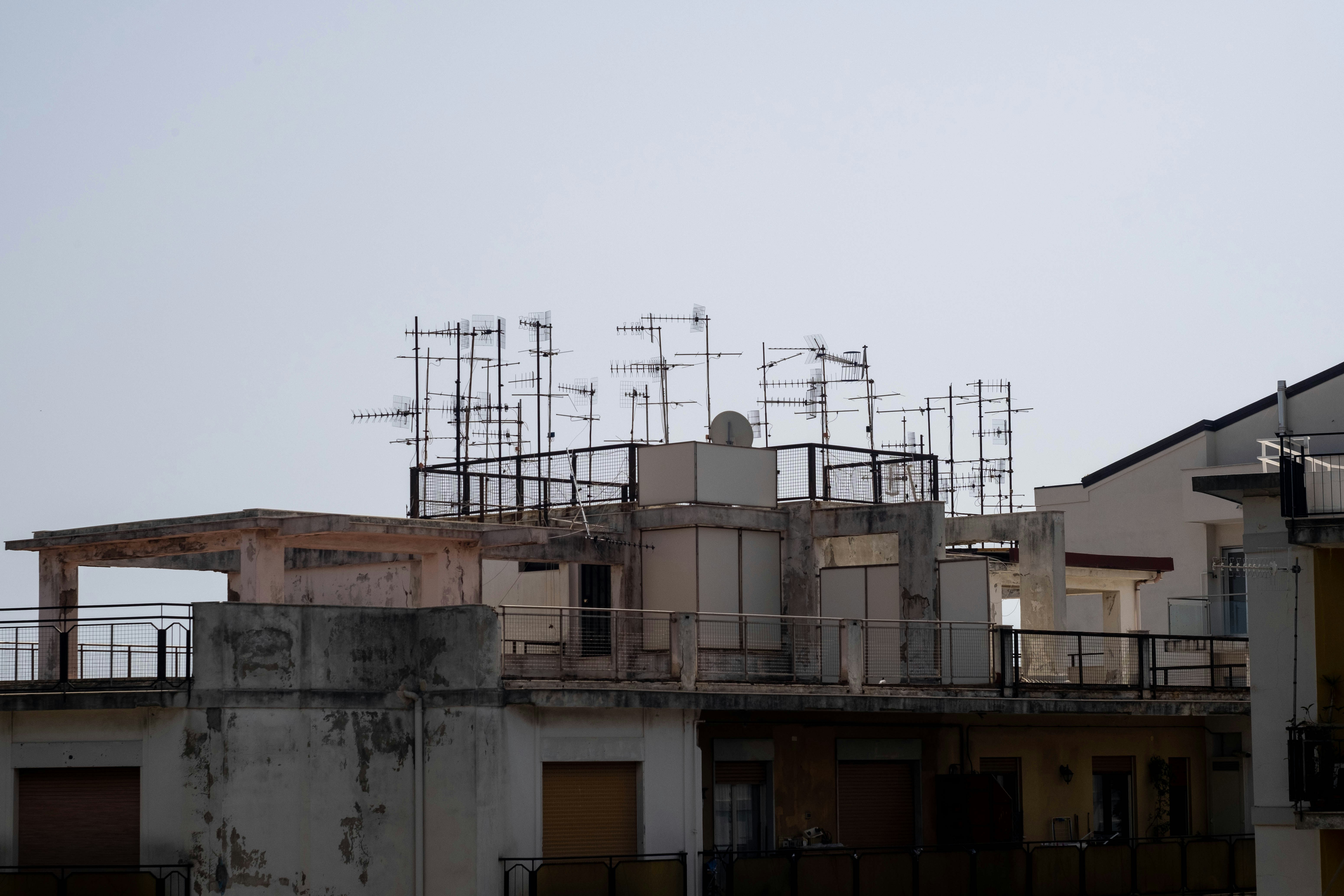 Urban Skyline's Silent Guardians