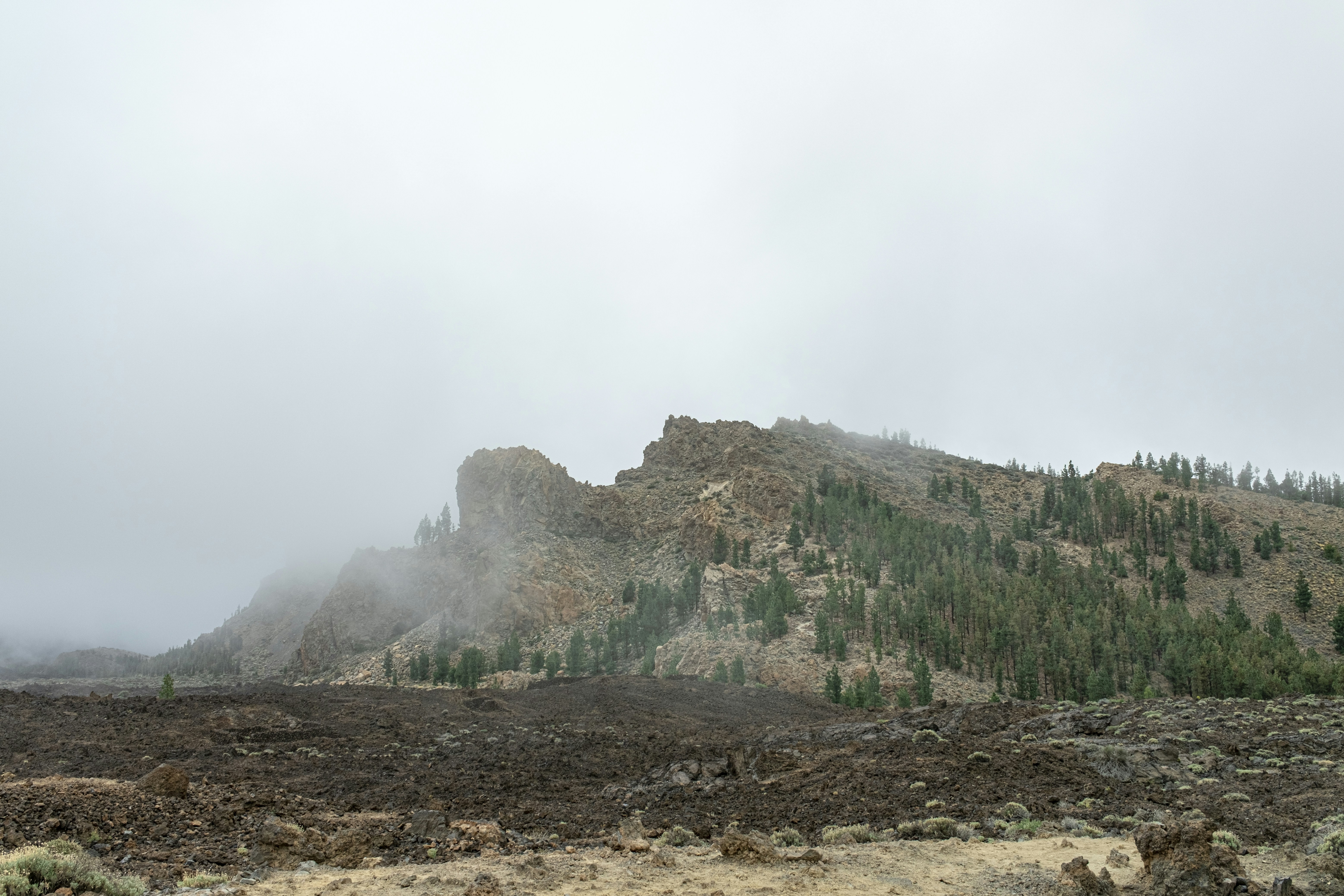 Lone Ridge Emerging from Morning Mist
