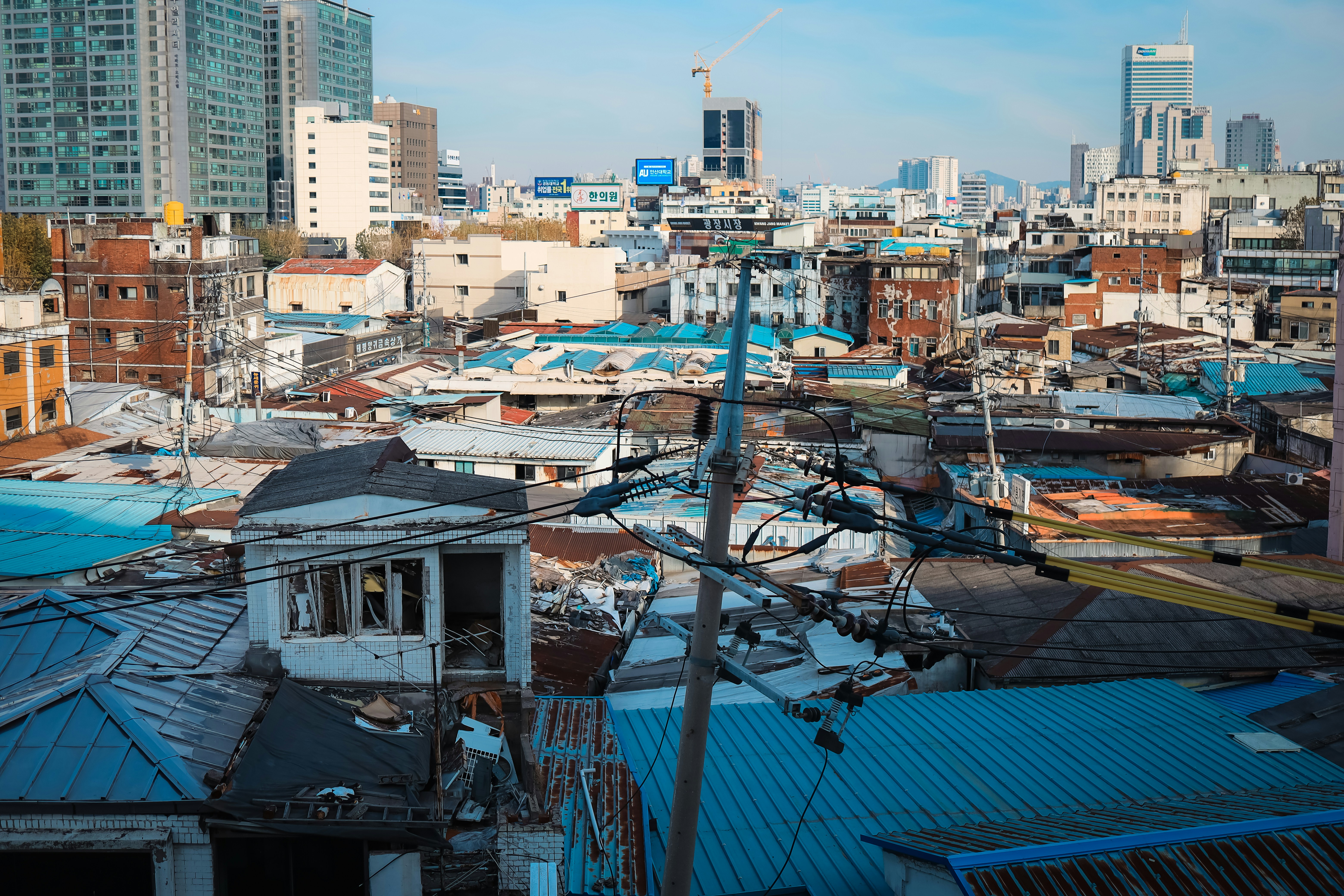 Webbed Rooftops: Blue Corrugations and the City's Hidden Conduit