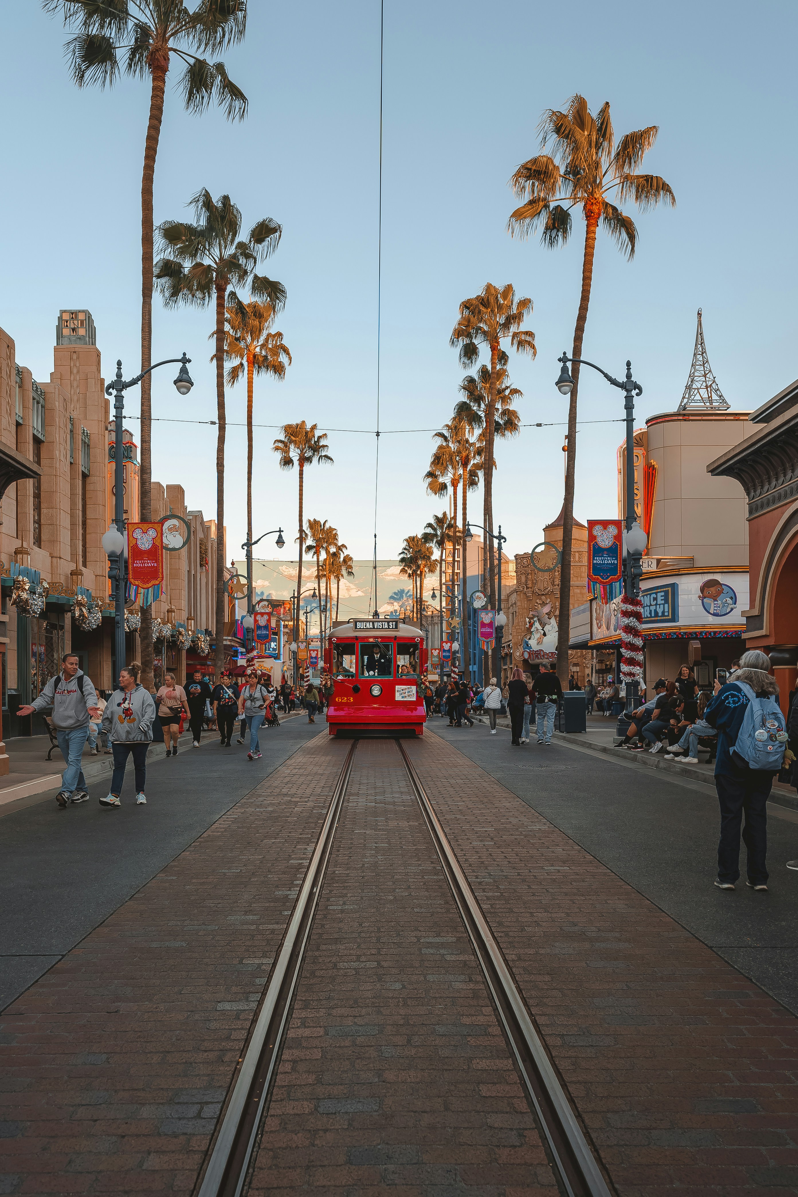 Photo by Mauro Lima with Sony Alpha 7 III