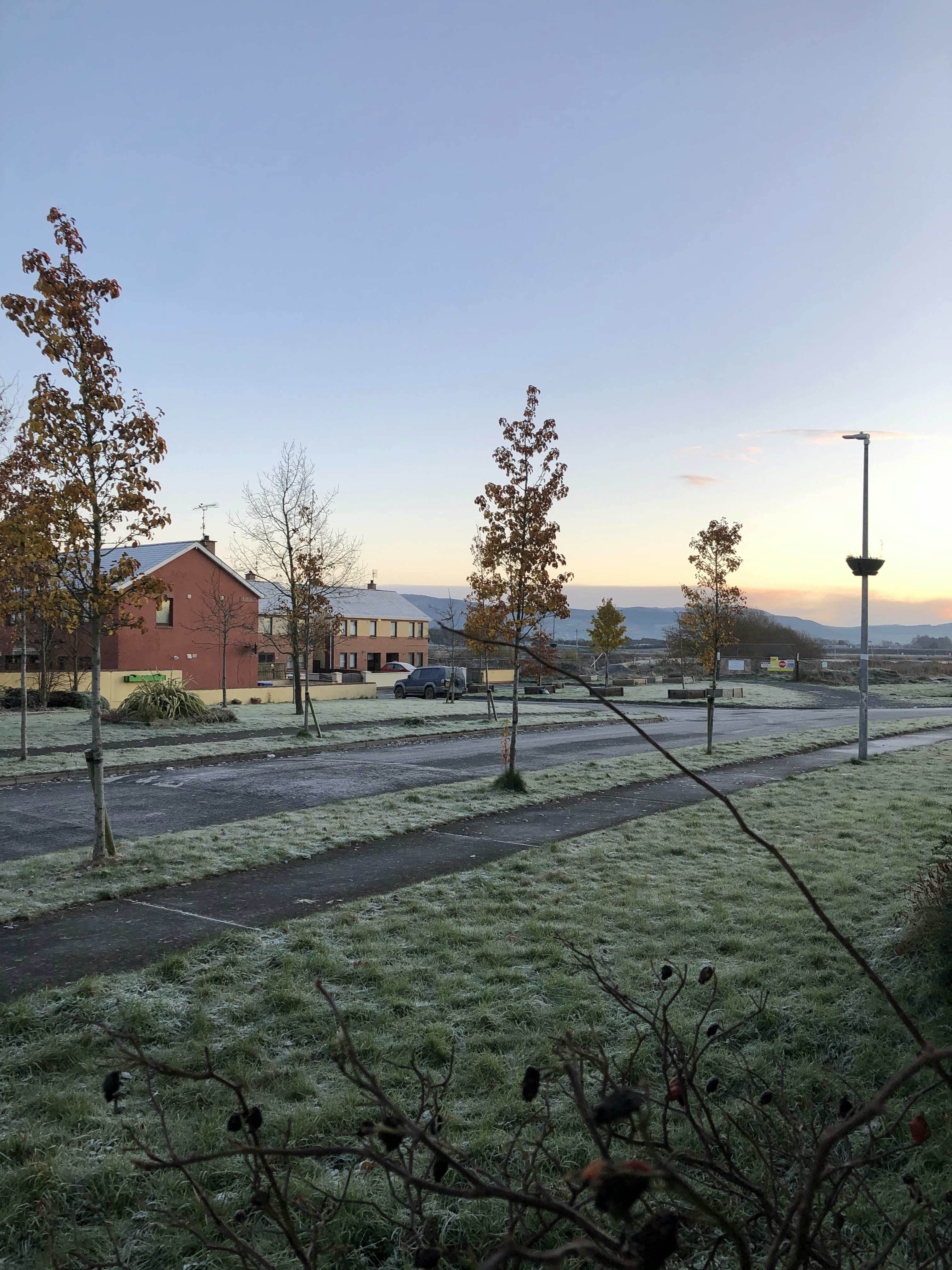 Dawn Frost on a Suburban Street Framed by a Red Brick House