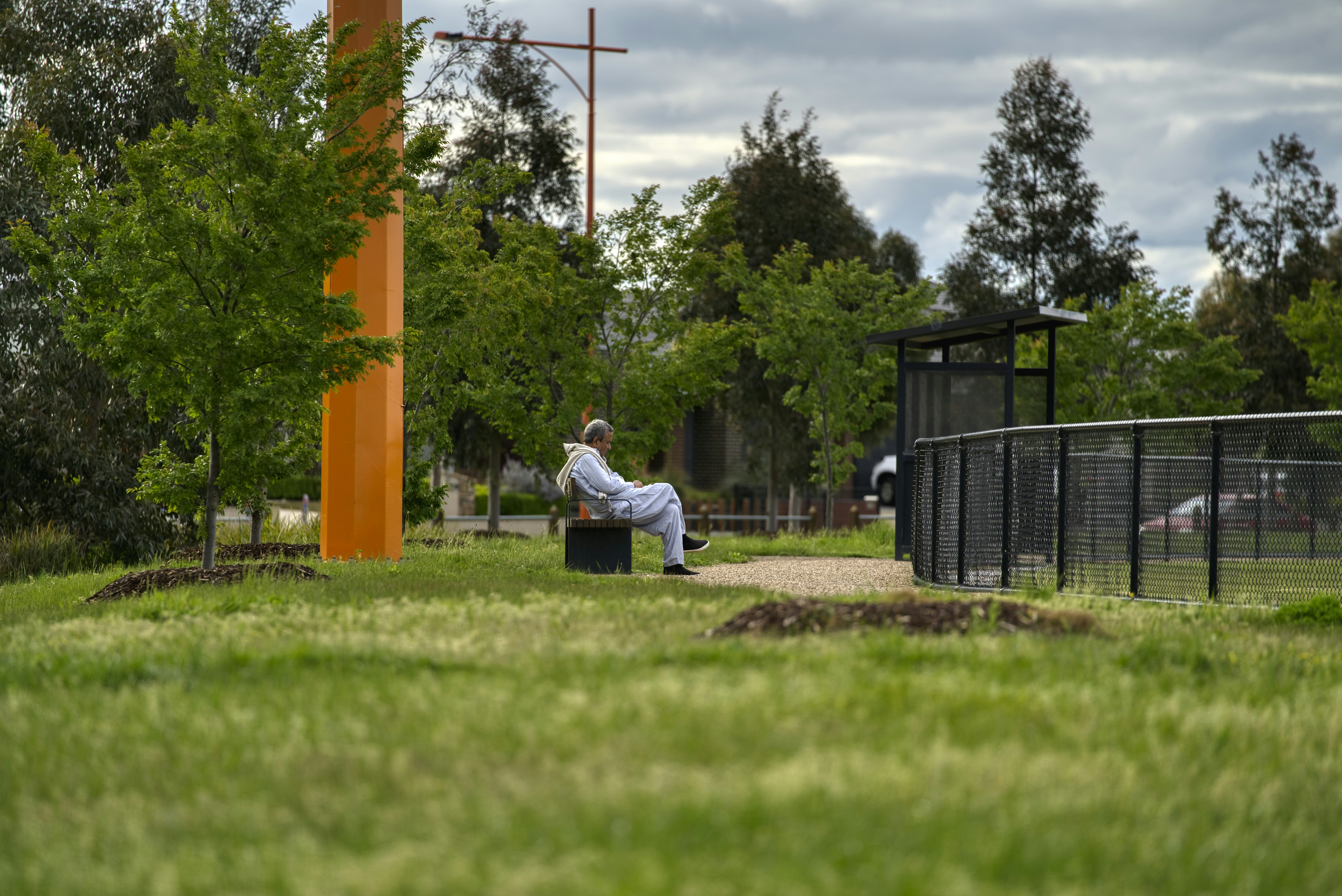 Orange Pillar, Green Quiet: A Park Bench Moment
