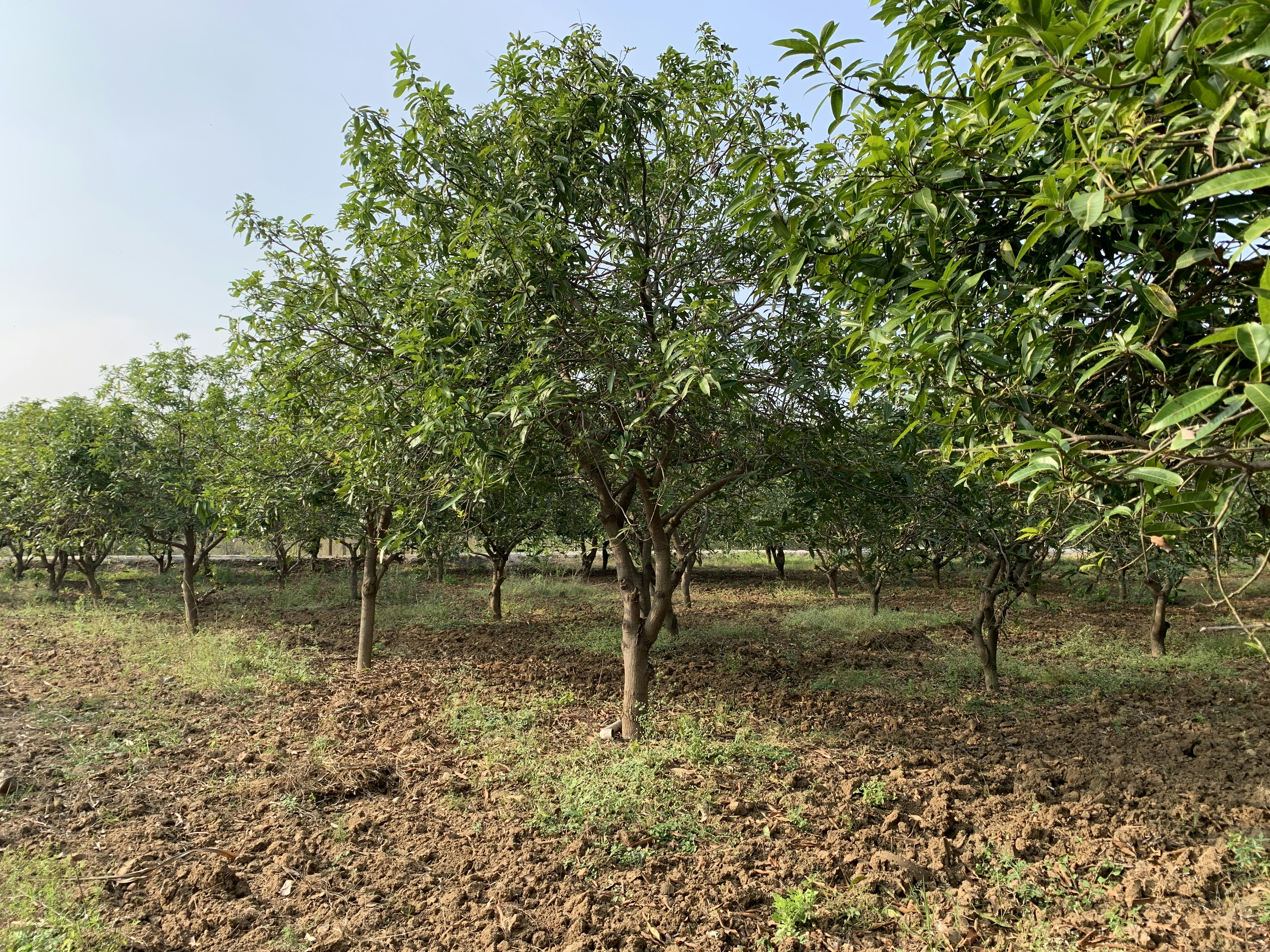 Photo by Praveen Kumar Nandagiri with Apple iPhone XR