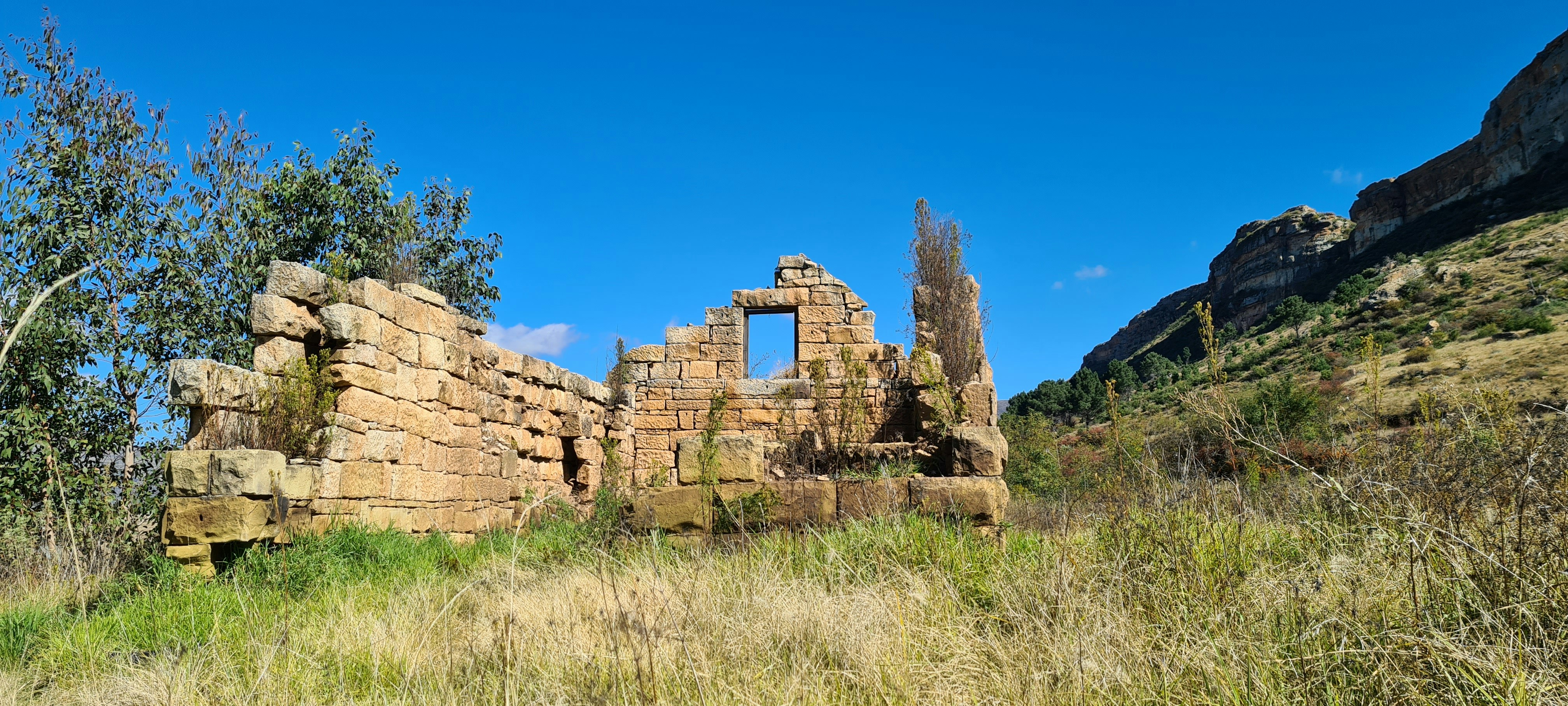 Echoes of Stone: Ruins Standing Quietly in Sunlit Grass