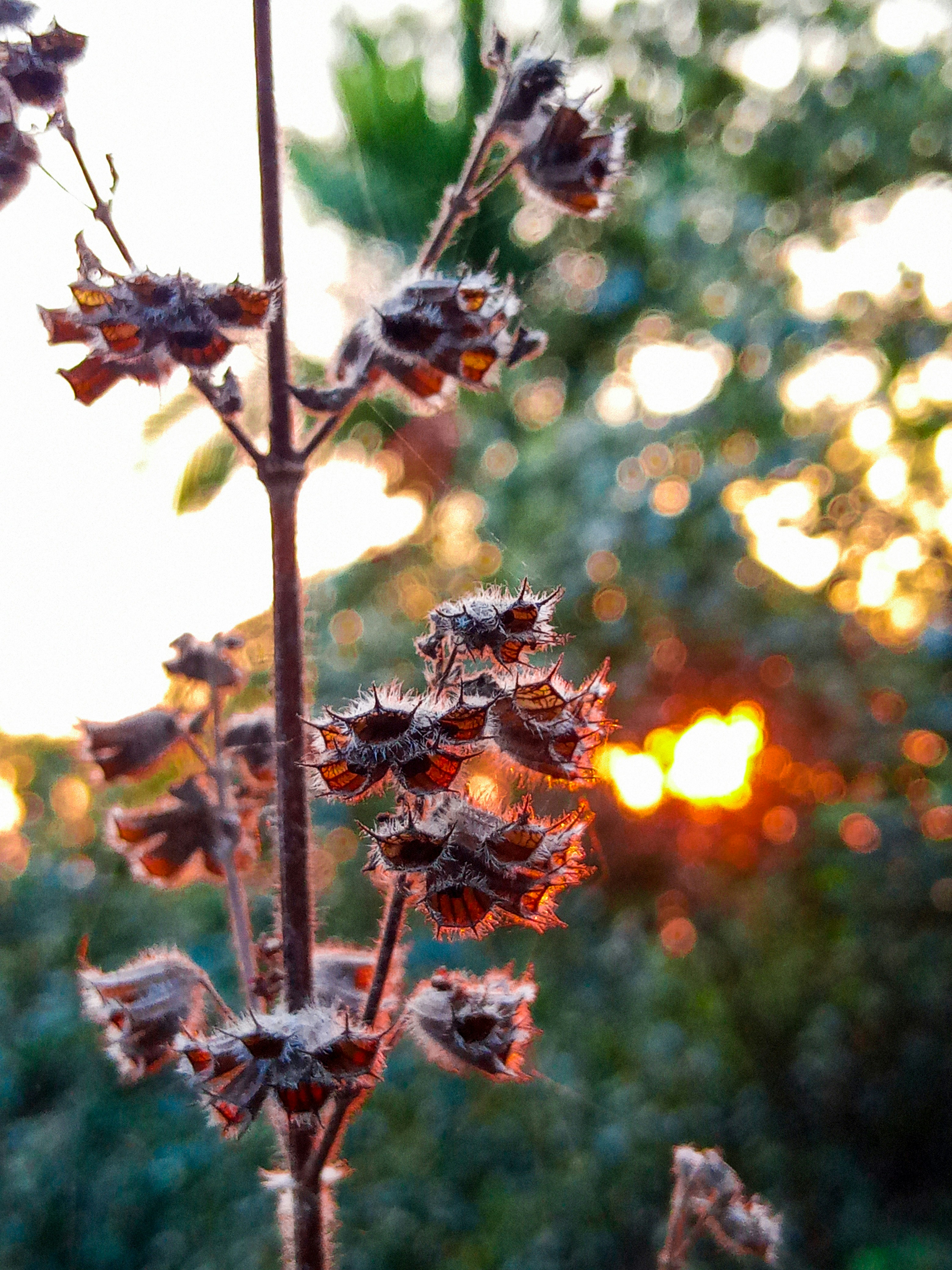 Photo by Priyonta Chakraborty