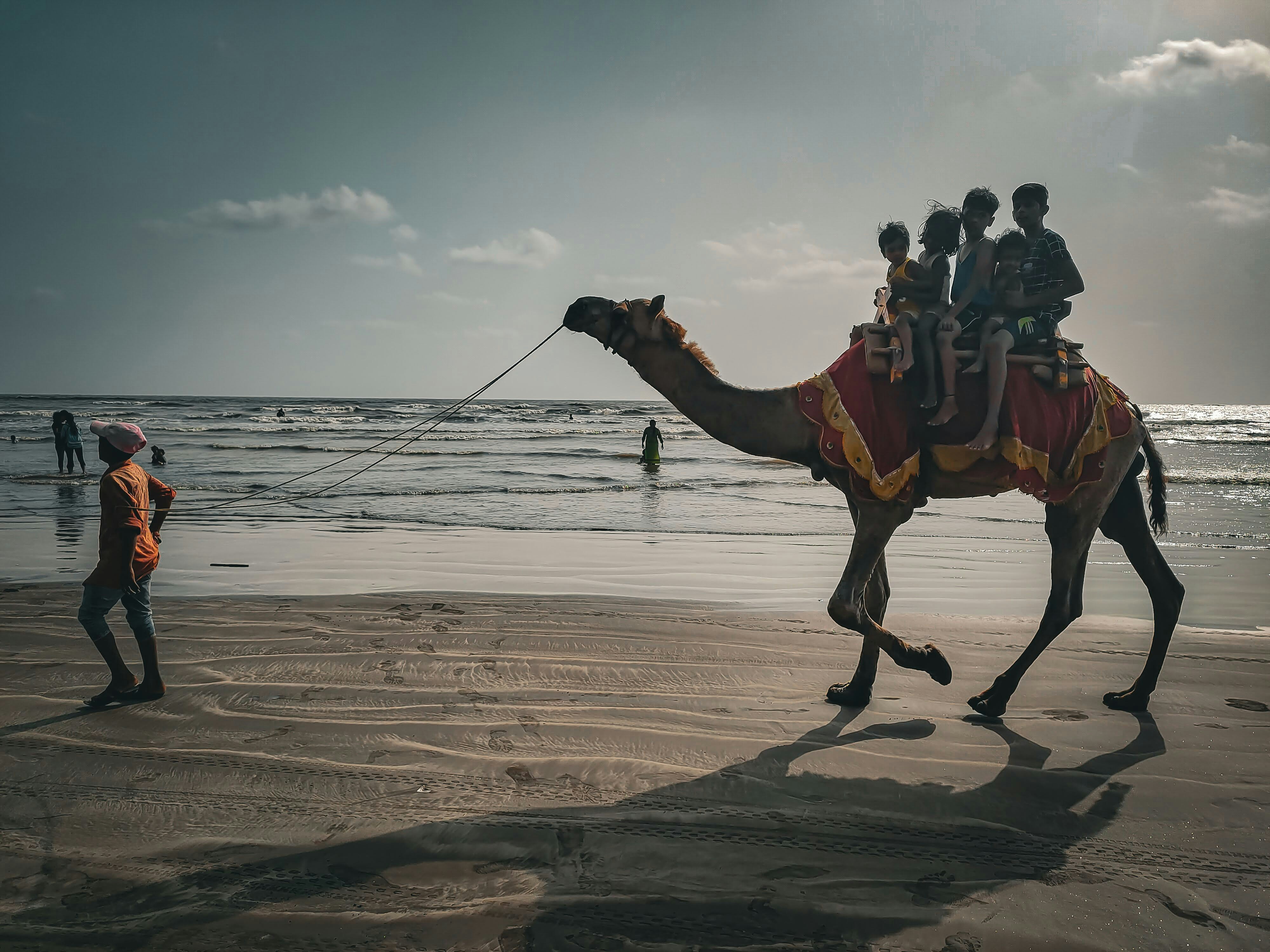 A group of people riding on the back of a camel photo – Free Alibag ...
