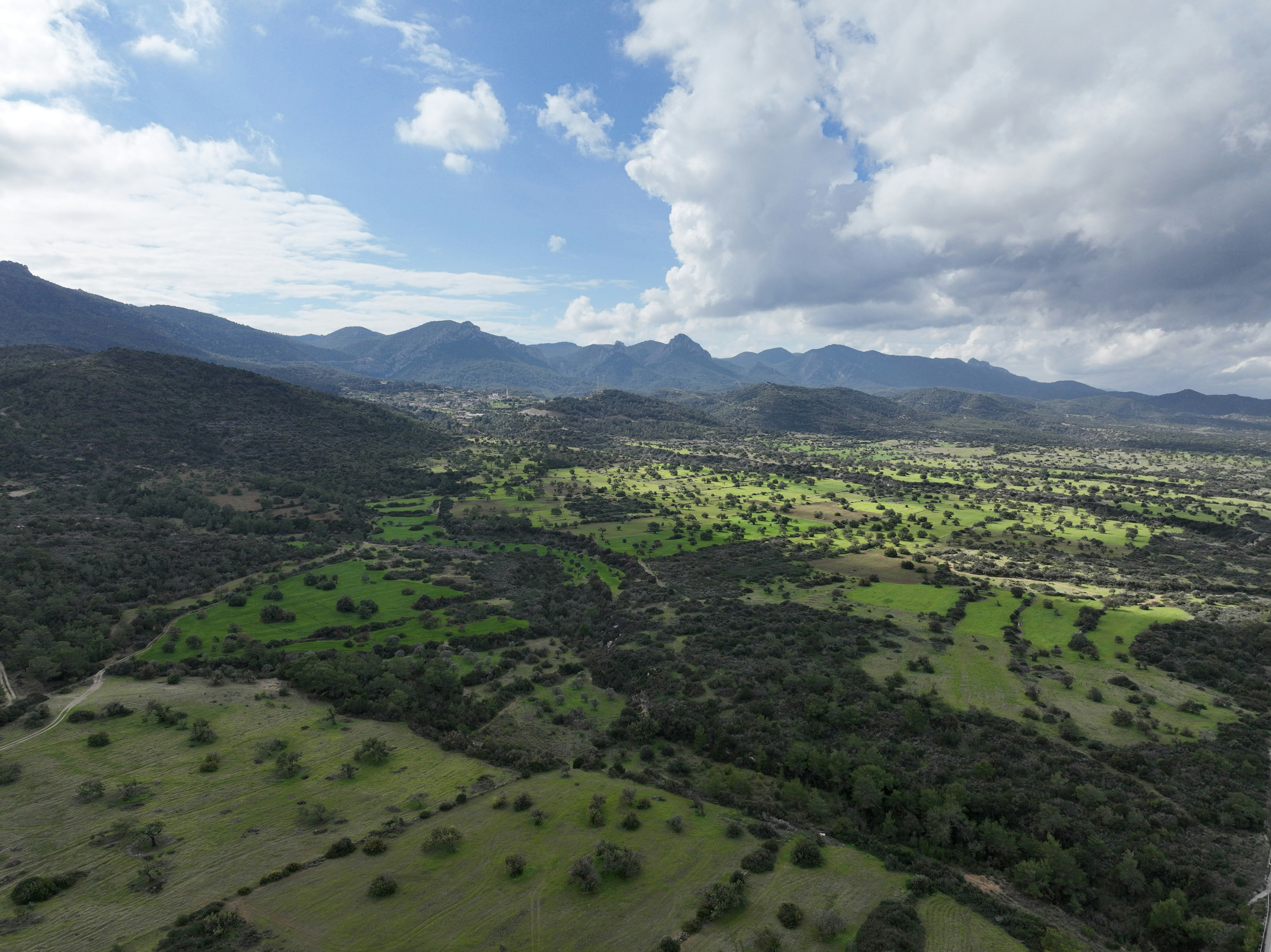 Patchwork Valley from Above: Emerald Fields and Distant Peaks