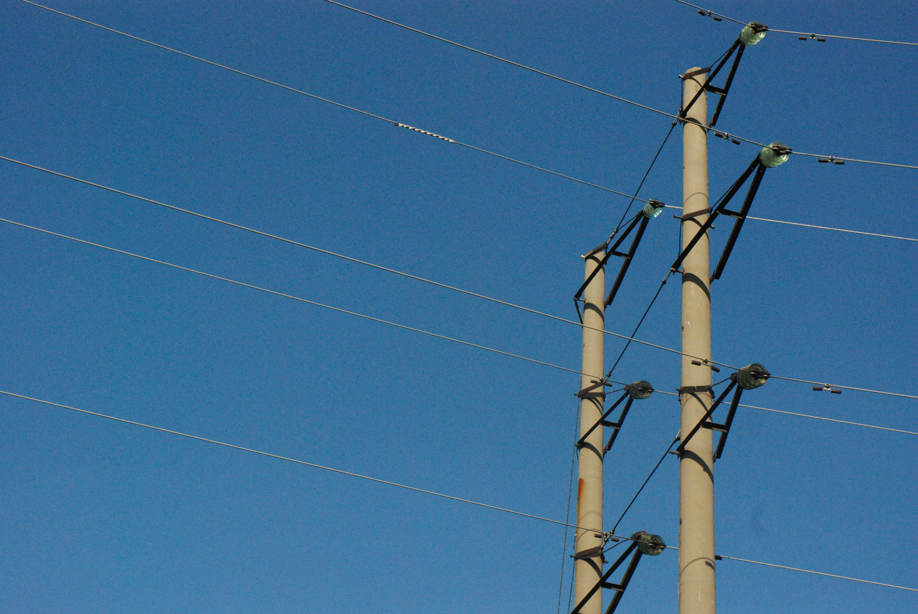 A telephone pole with a stop sign on top of it photo – Free Sky ...
