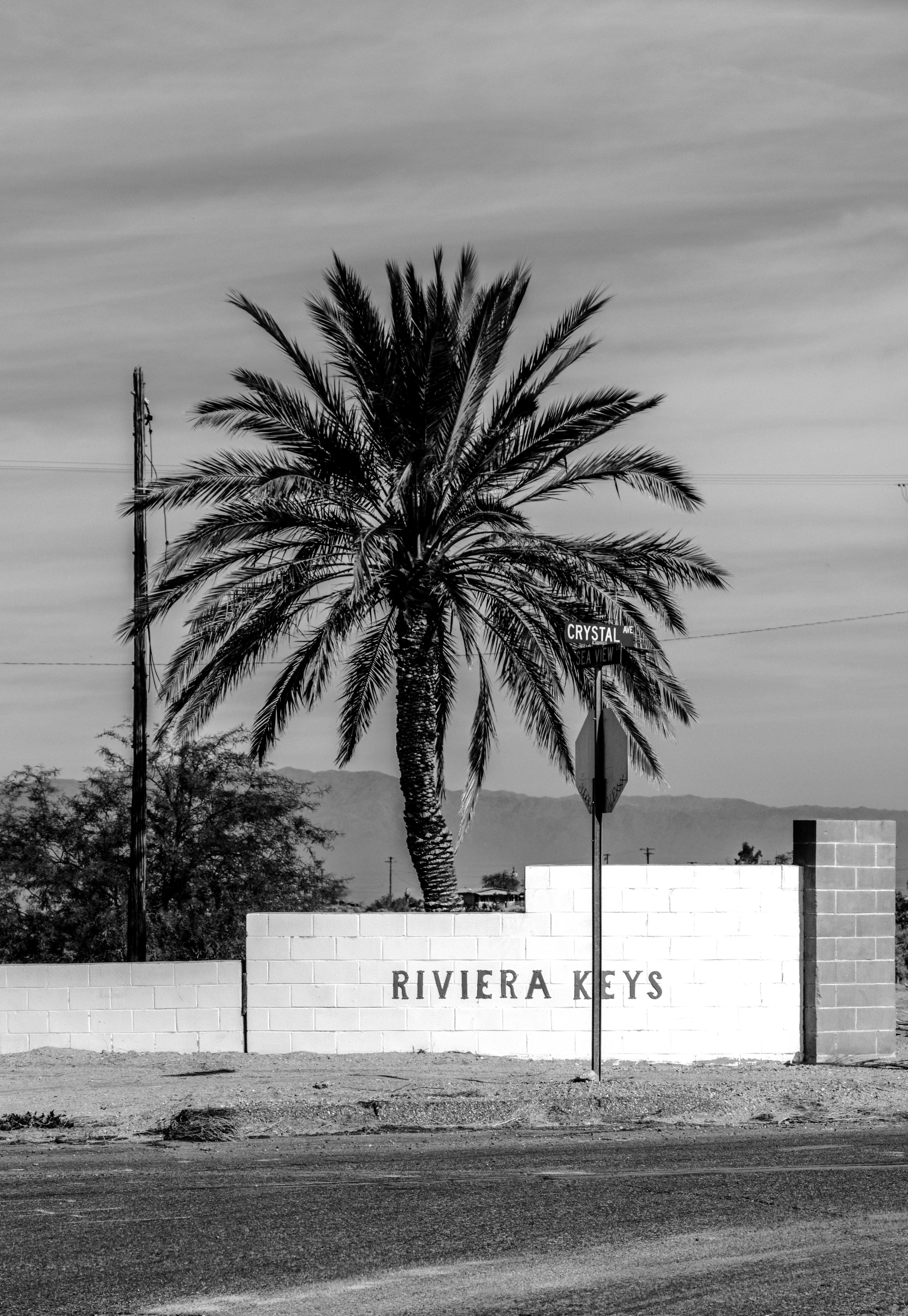 Desert Entrance: Riviera Keys Gate Beneath a Slim Palm