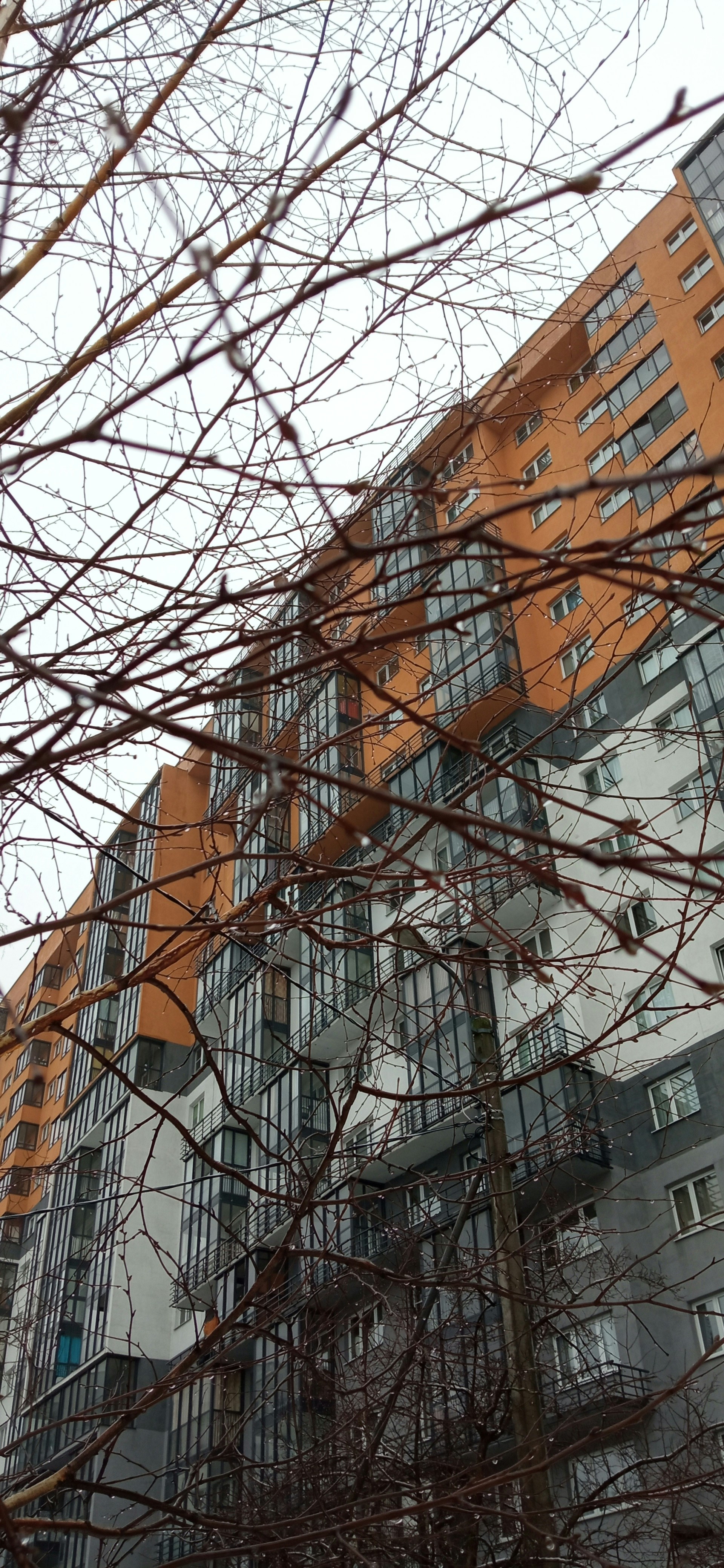 Photo by Ele_nka with Xiaomi Redmi 9