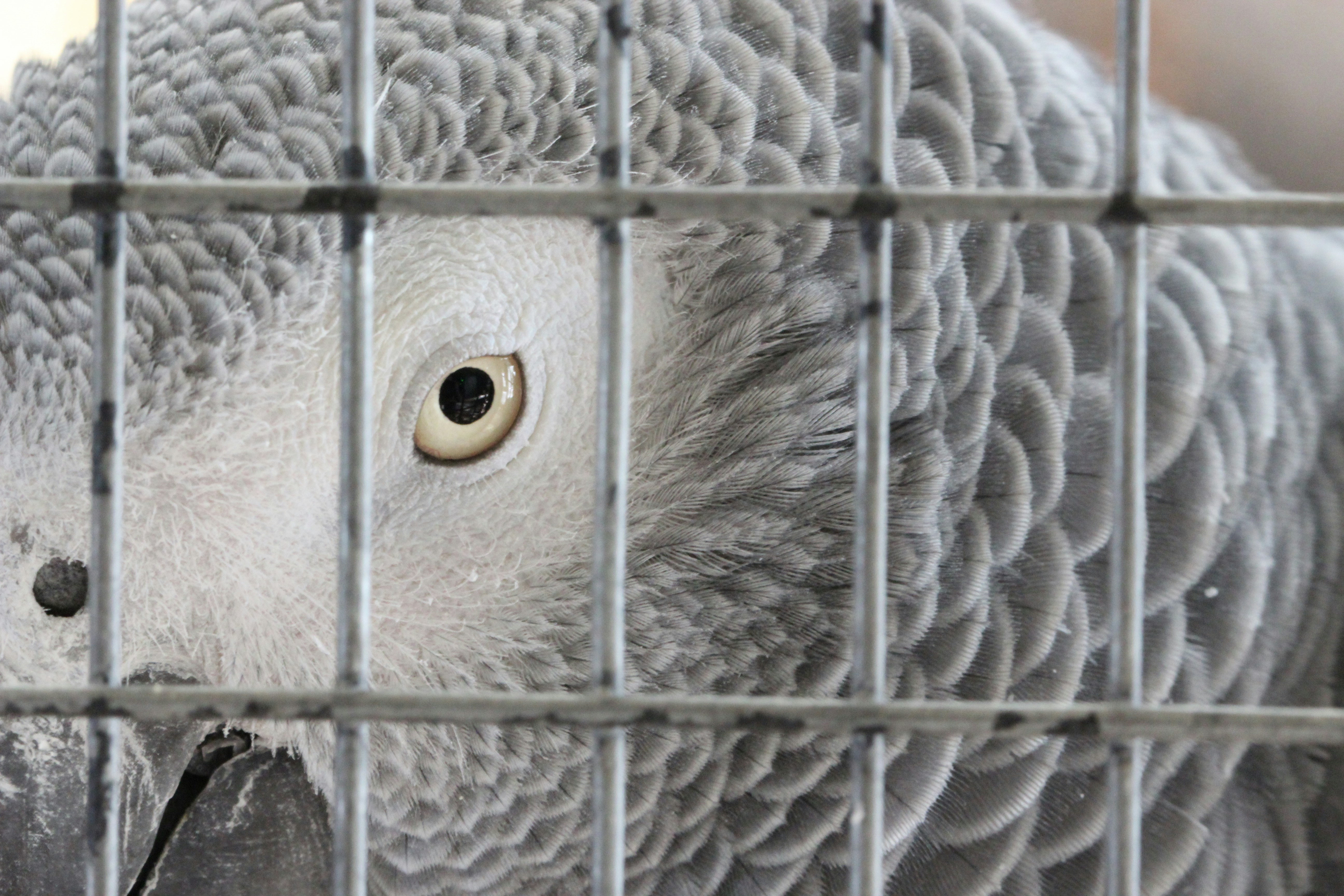 Photo by Ewa Anderson with Canon EOS 600D