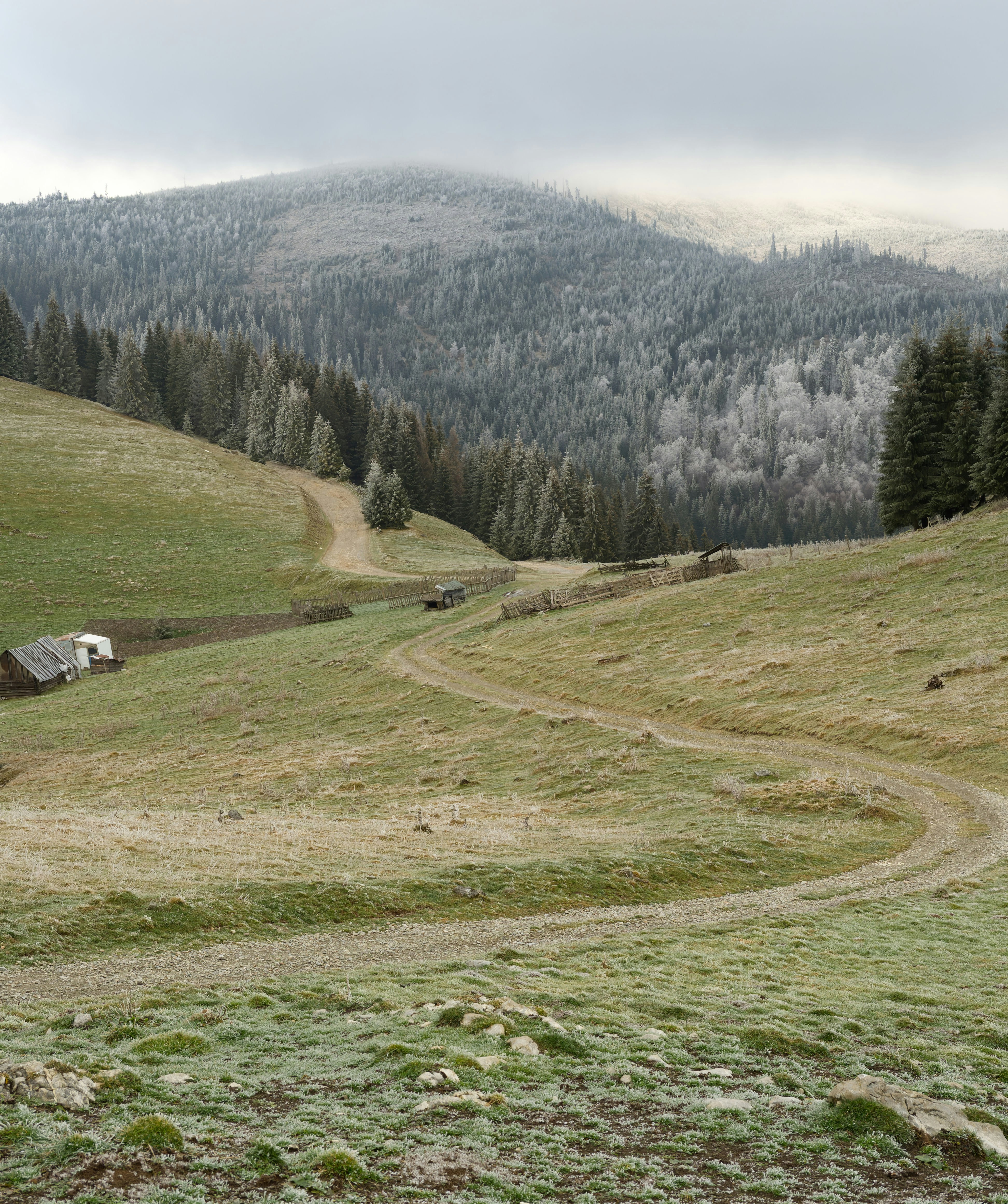 A serene landscape showcasing a winding path through a frost-kissed meadow, framed by dense evergreen trees and distant mountains. The rustic cabin adds a touch of human presence to the tranquil scene.
