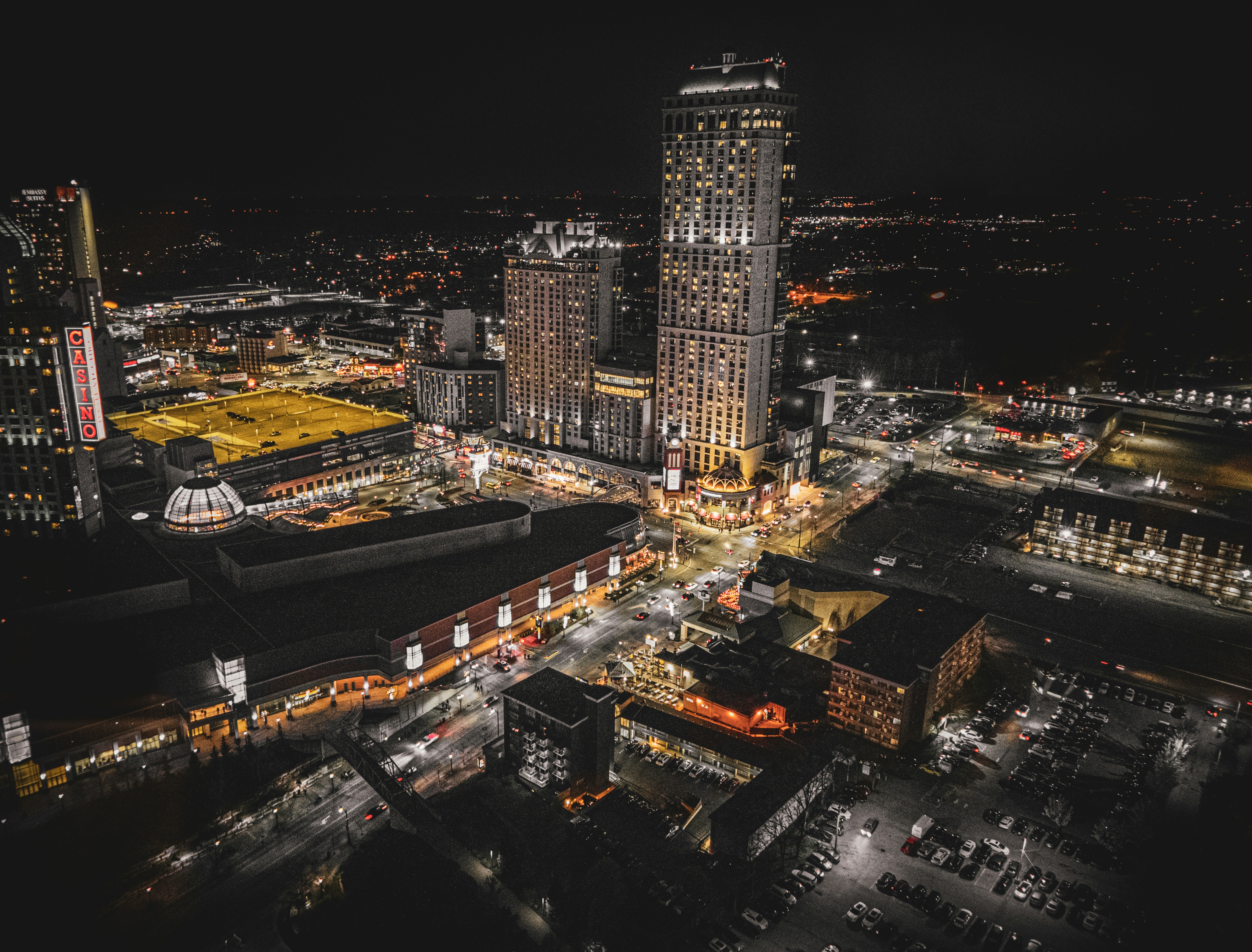 Nocturnal Pulse of the Urban Jungle