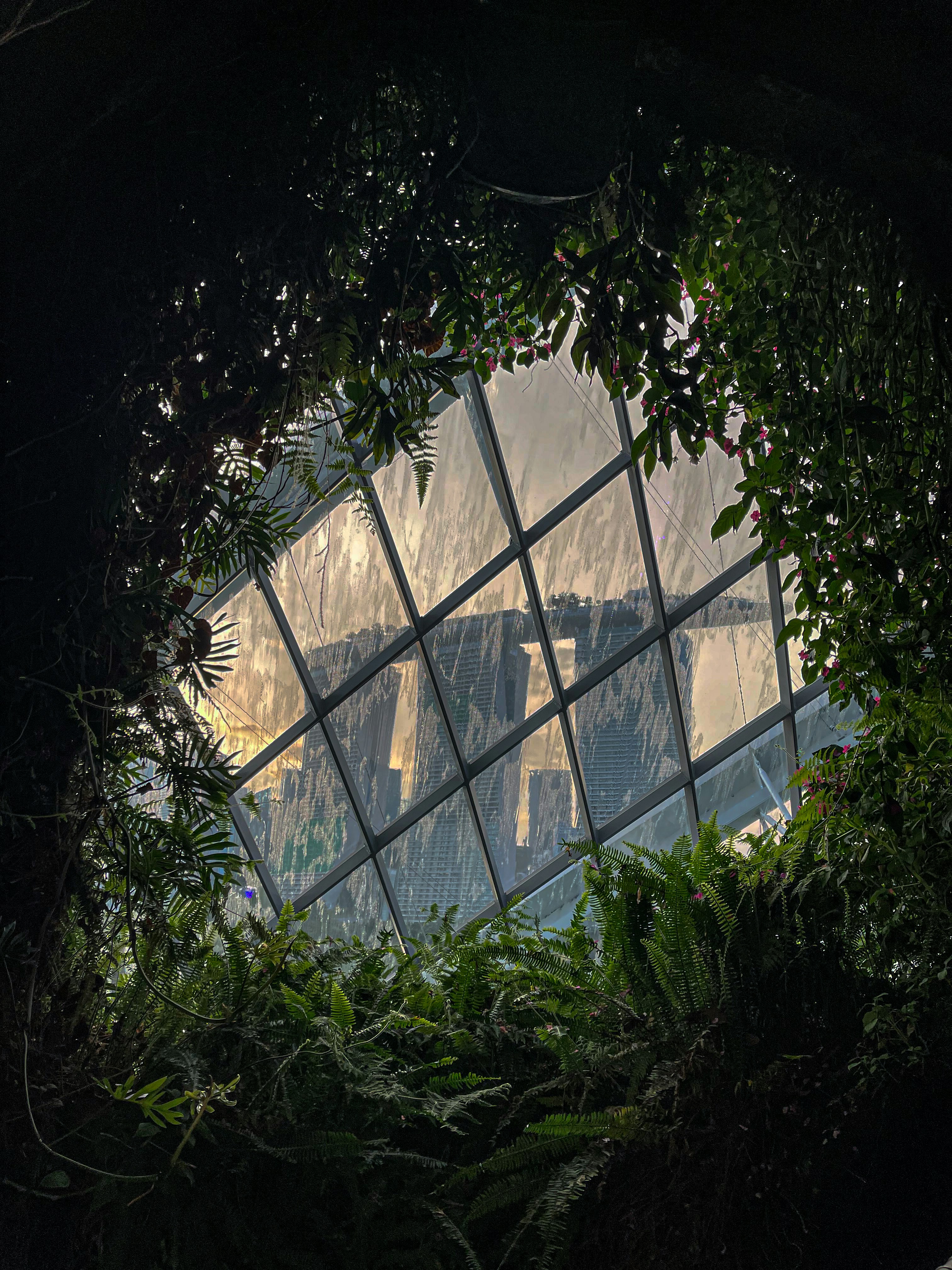 Glass Atrium Skyframe Framed by Foliage