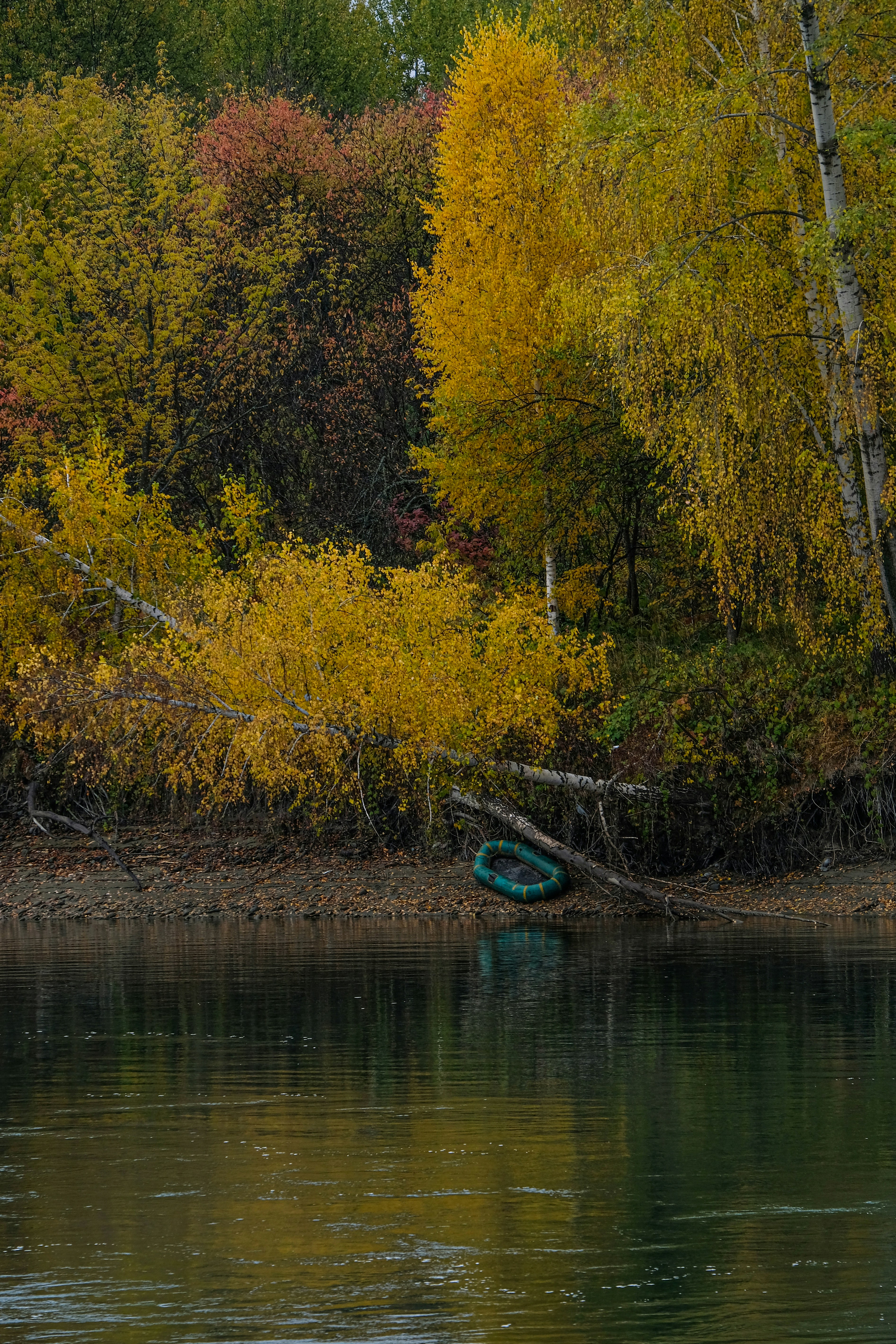 Emerald Lifebuoy Adrift Along a Golden Riverbank