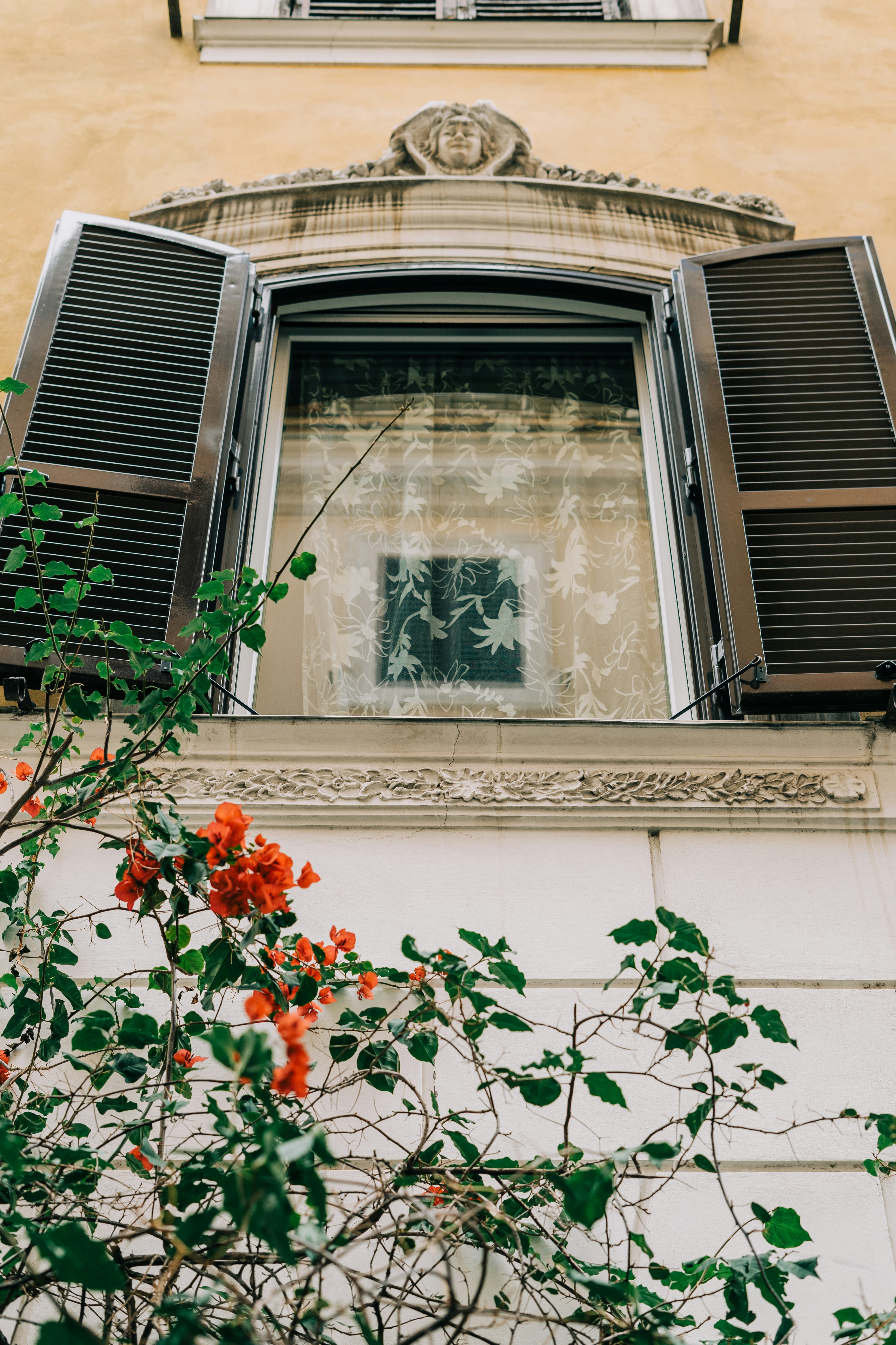 An elegant apartment window in Rome, Italy with red bougainvillea flowering in front of it.