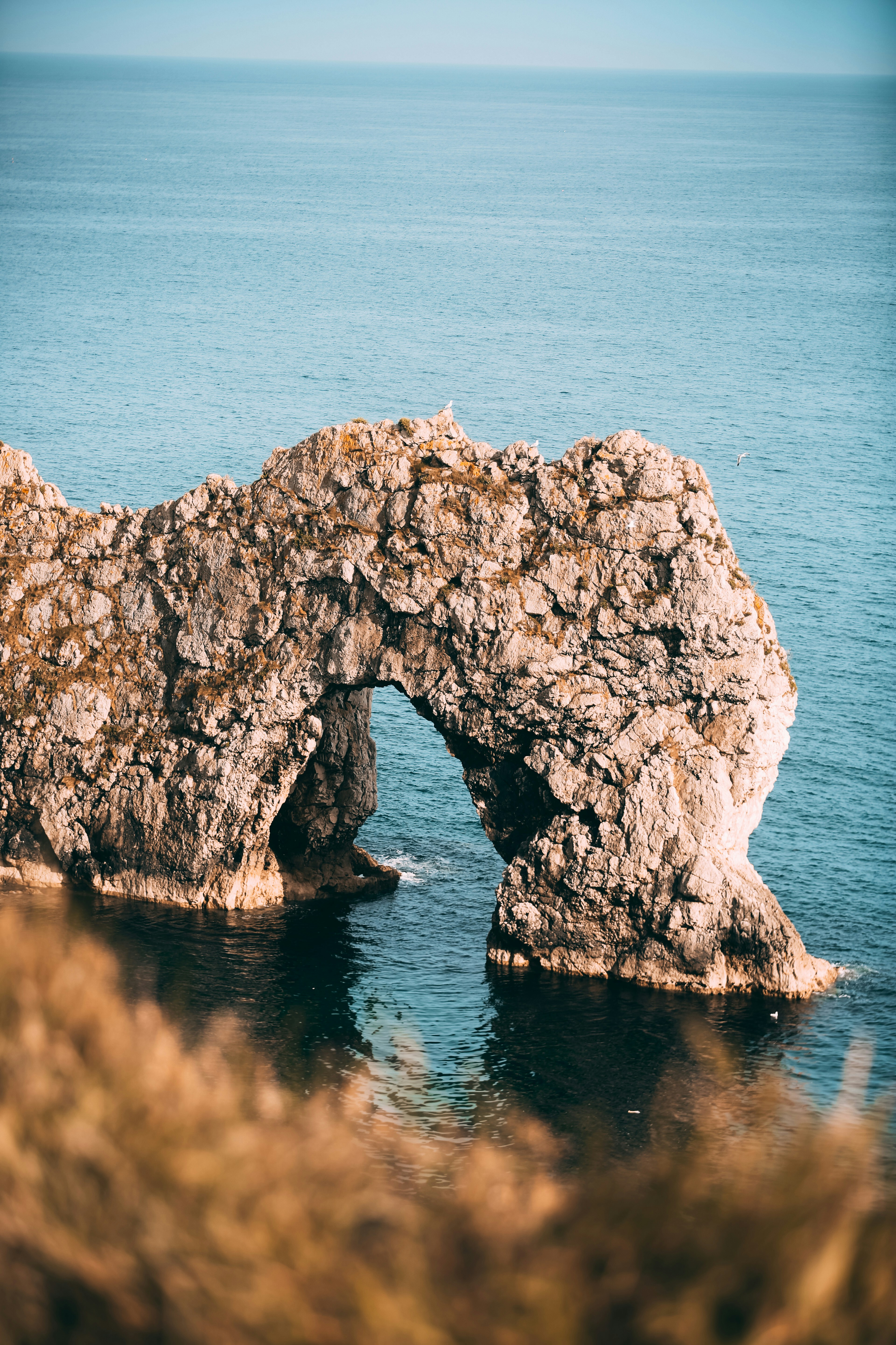 Surya teja (@thebackpackerboy) | Unsplash 사진 커뮤니티