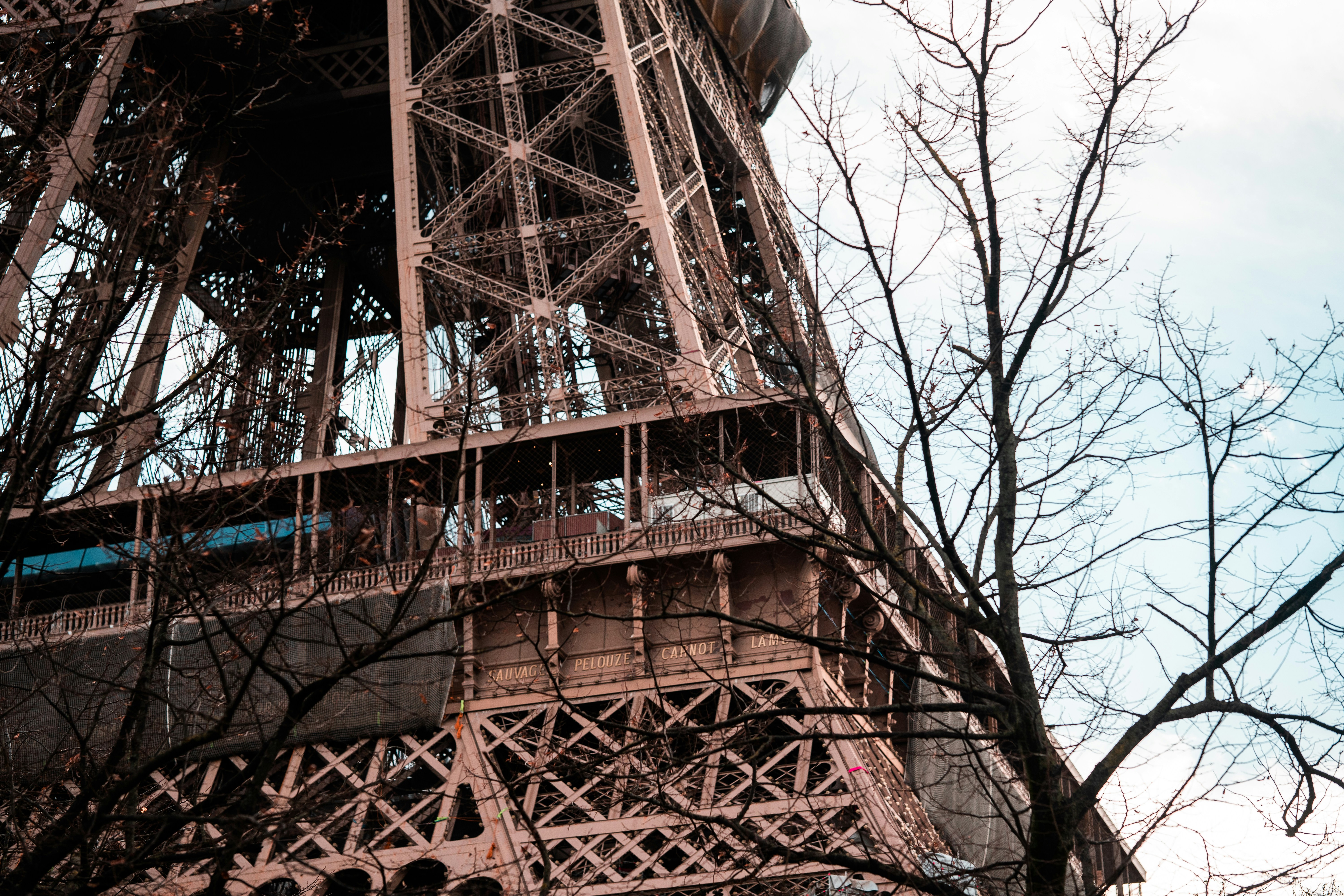 Iron Lace in Winter Light: Eiffel Tower Framed by Bare Branches