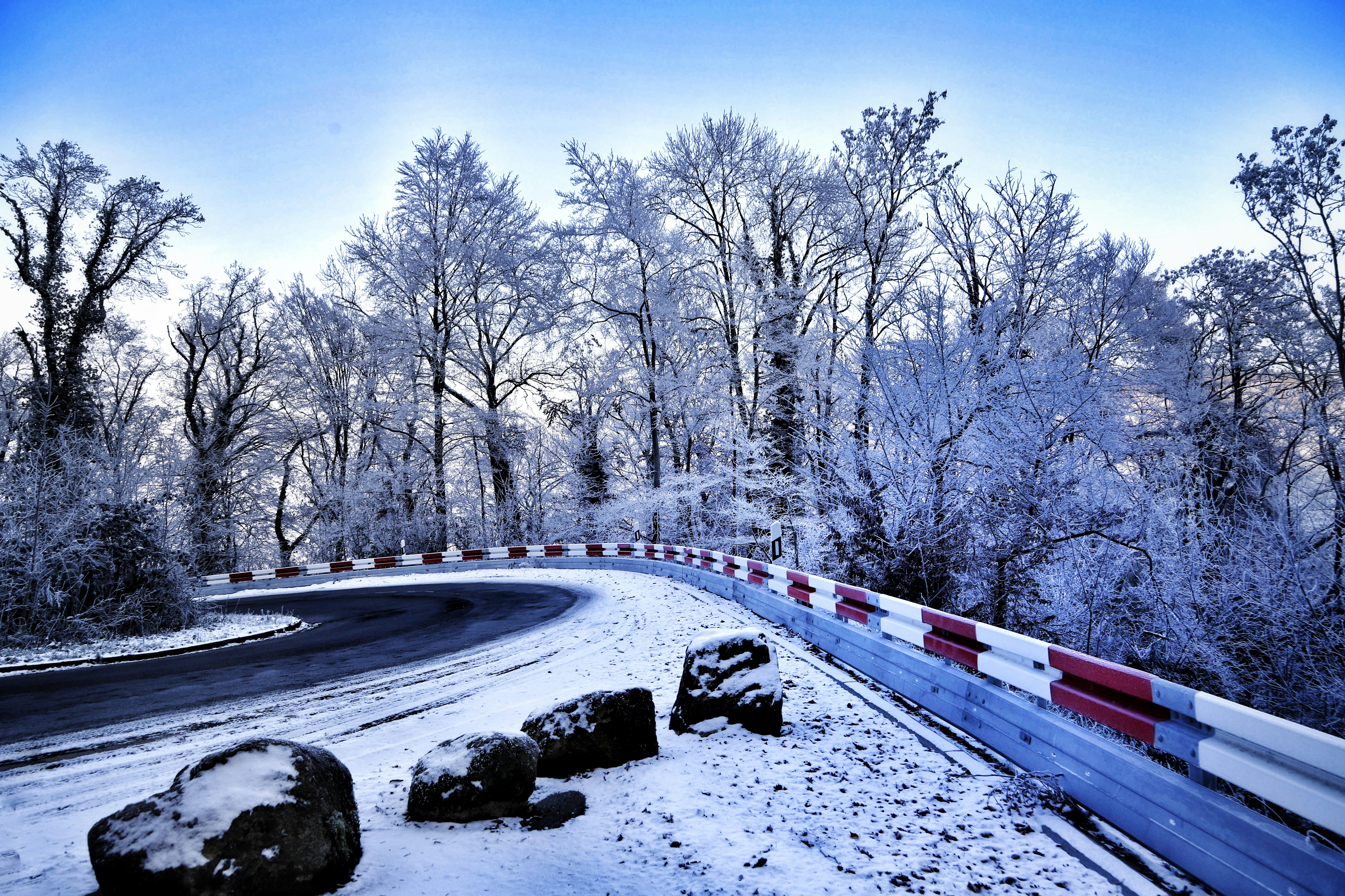 Blue Horizon Curve: Snow-Wrapped Bend Through Frosted Pines