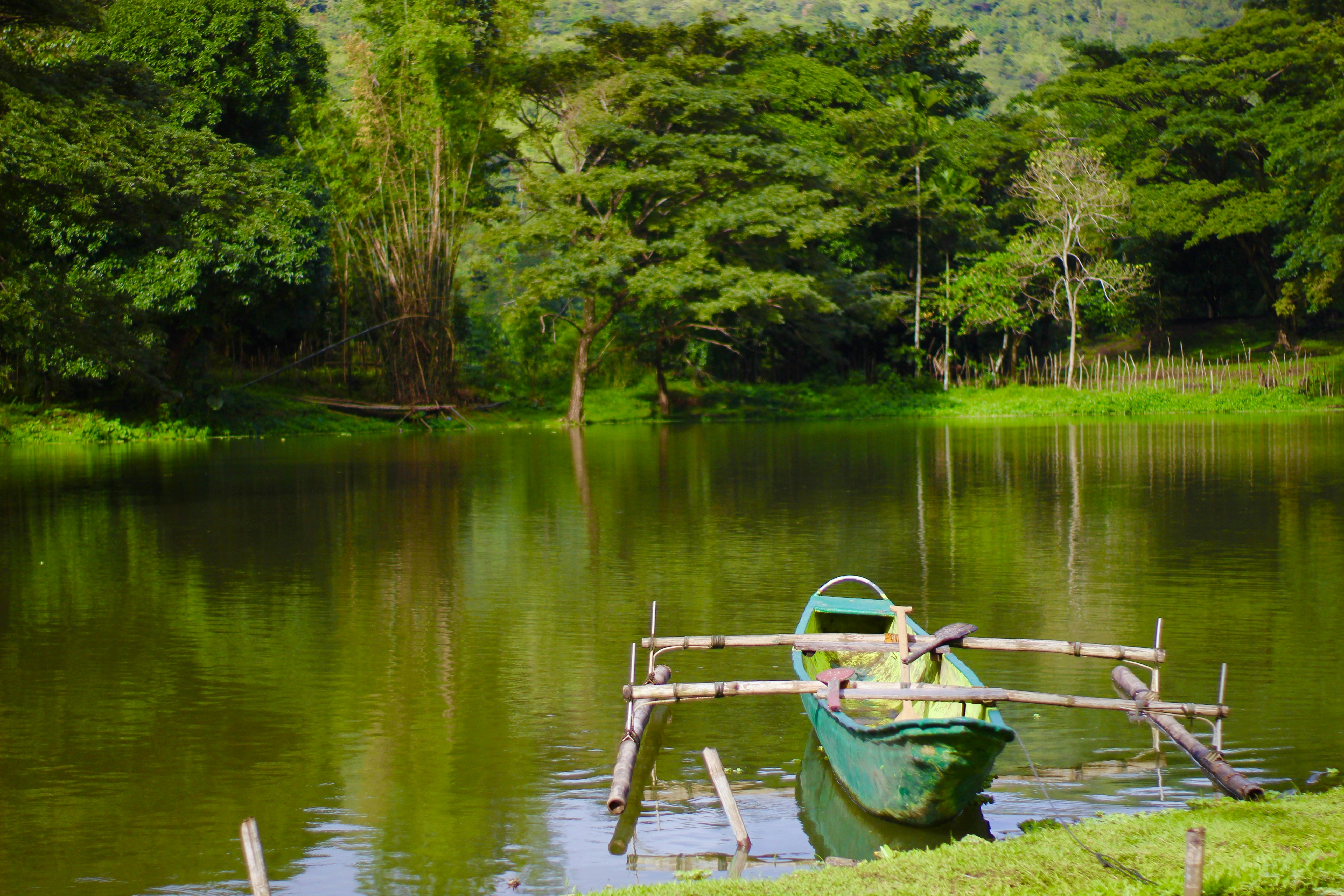 Foto Un pequeño bote verde sentado en la cima de un lago – Imagen Al ...