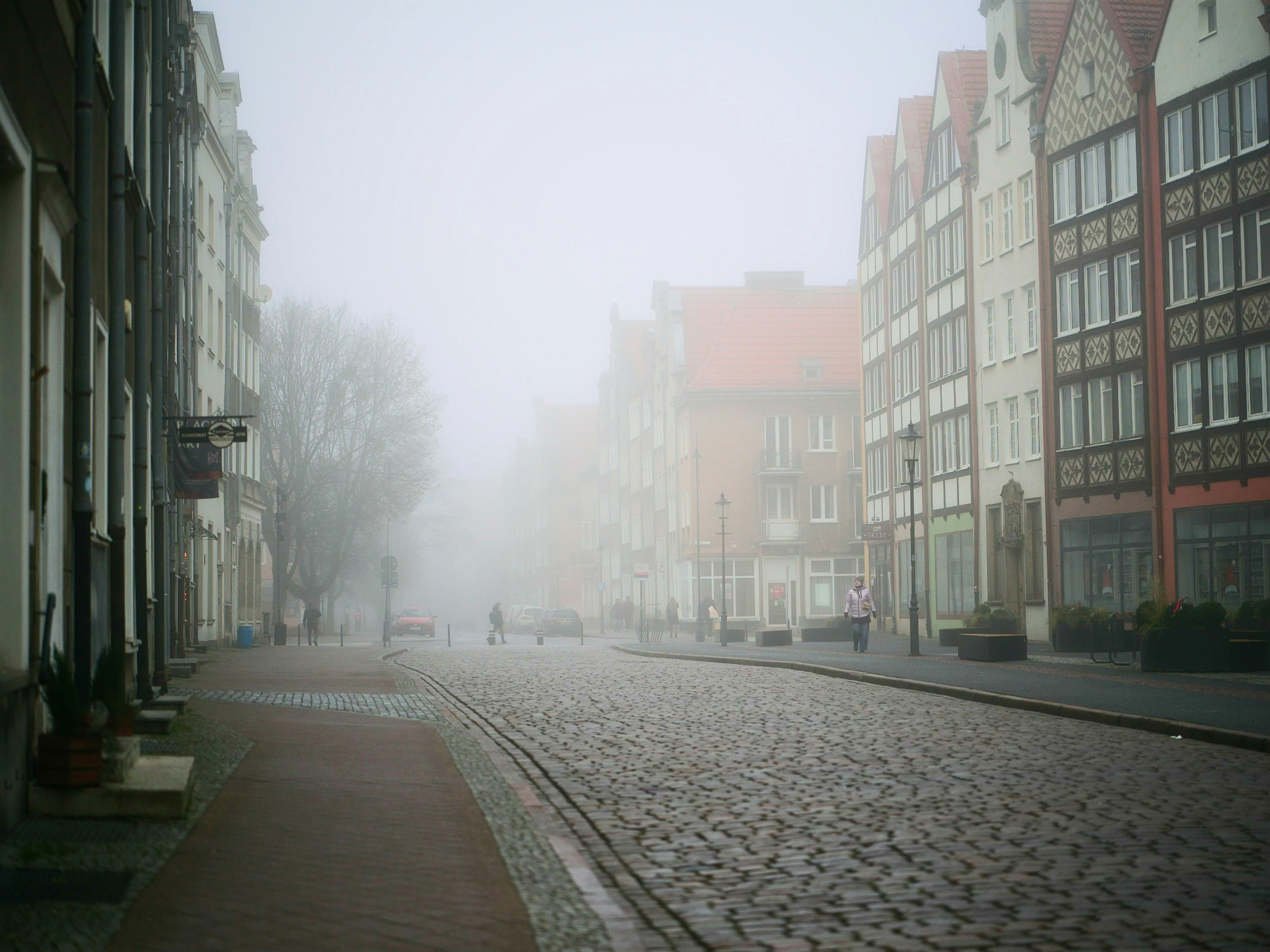 Mist-Laced Cobblestones: Vanishing Point on a Timber-Framed European Street
