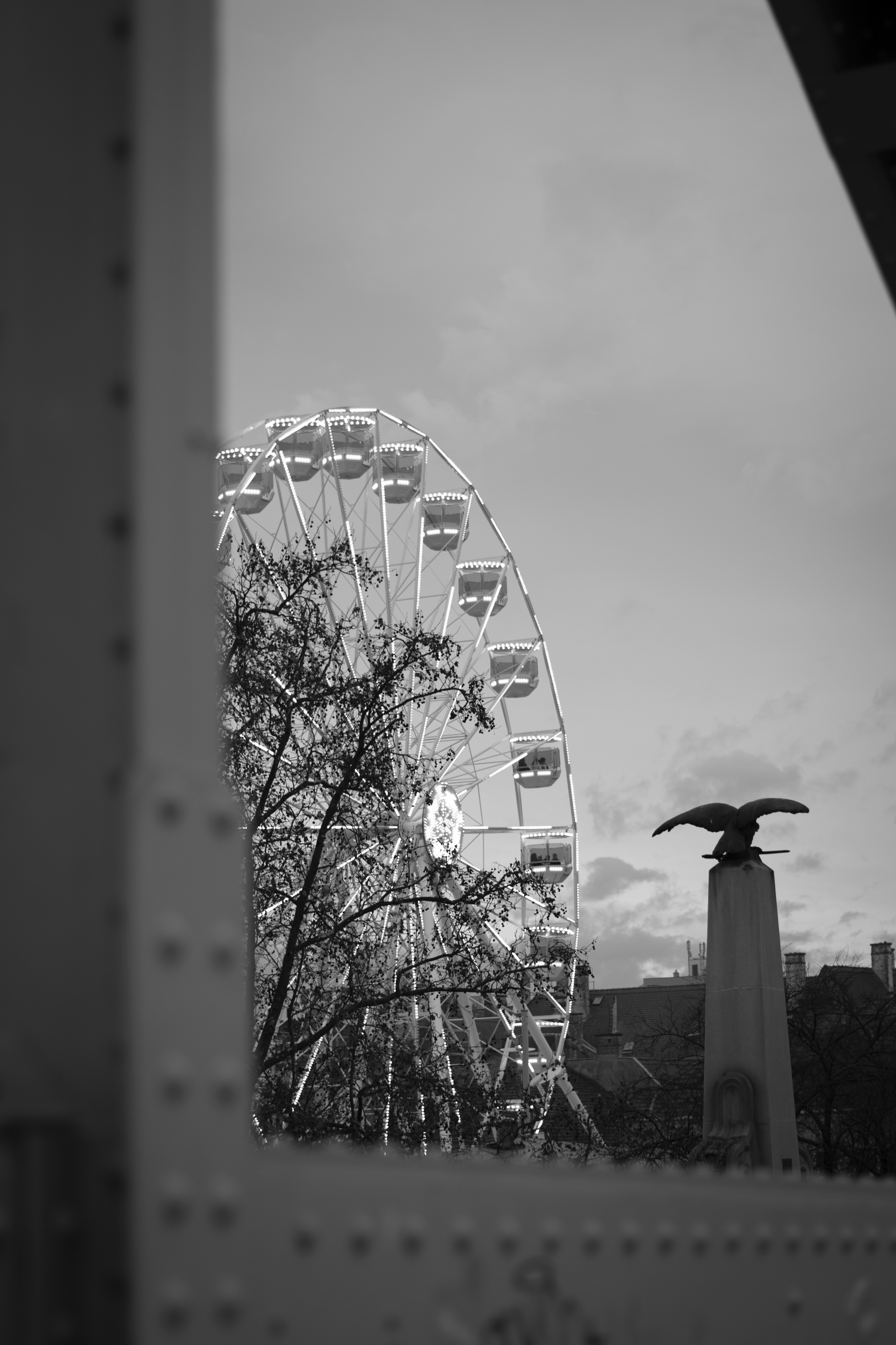 Photo by Daniel D with Nikon D5300