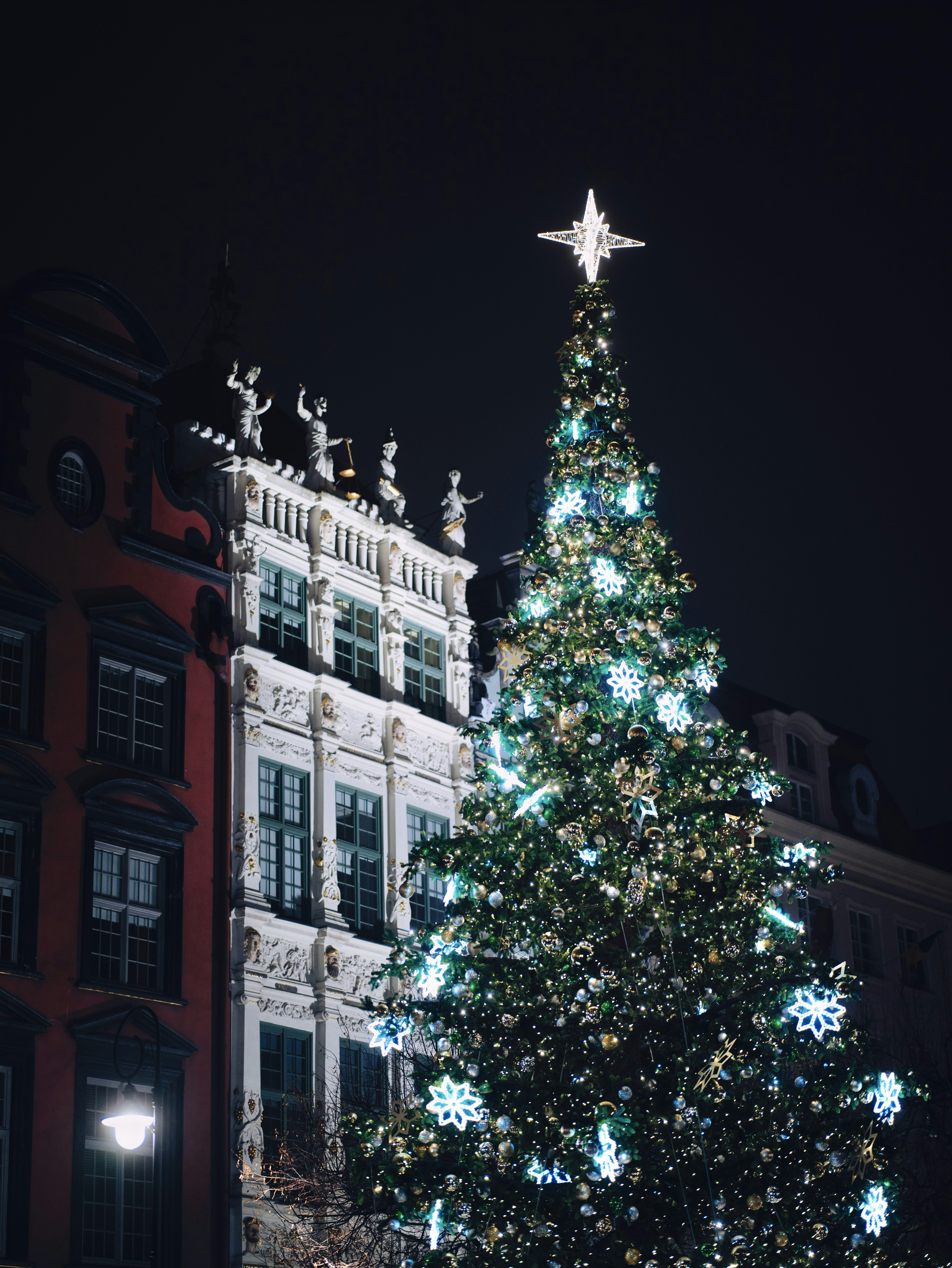 A large christmas tree in front of a building photo – Free Chrismas ...