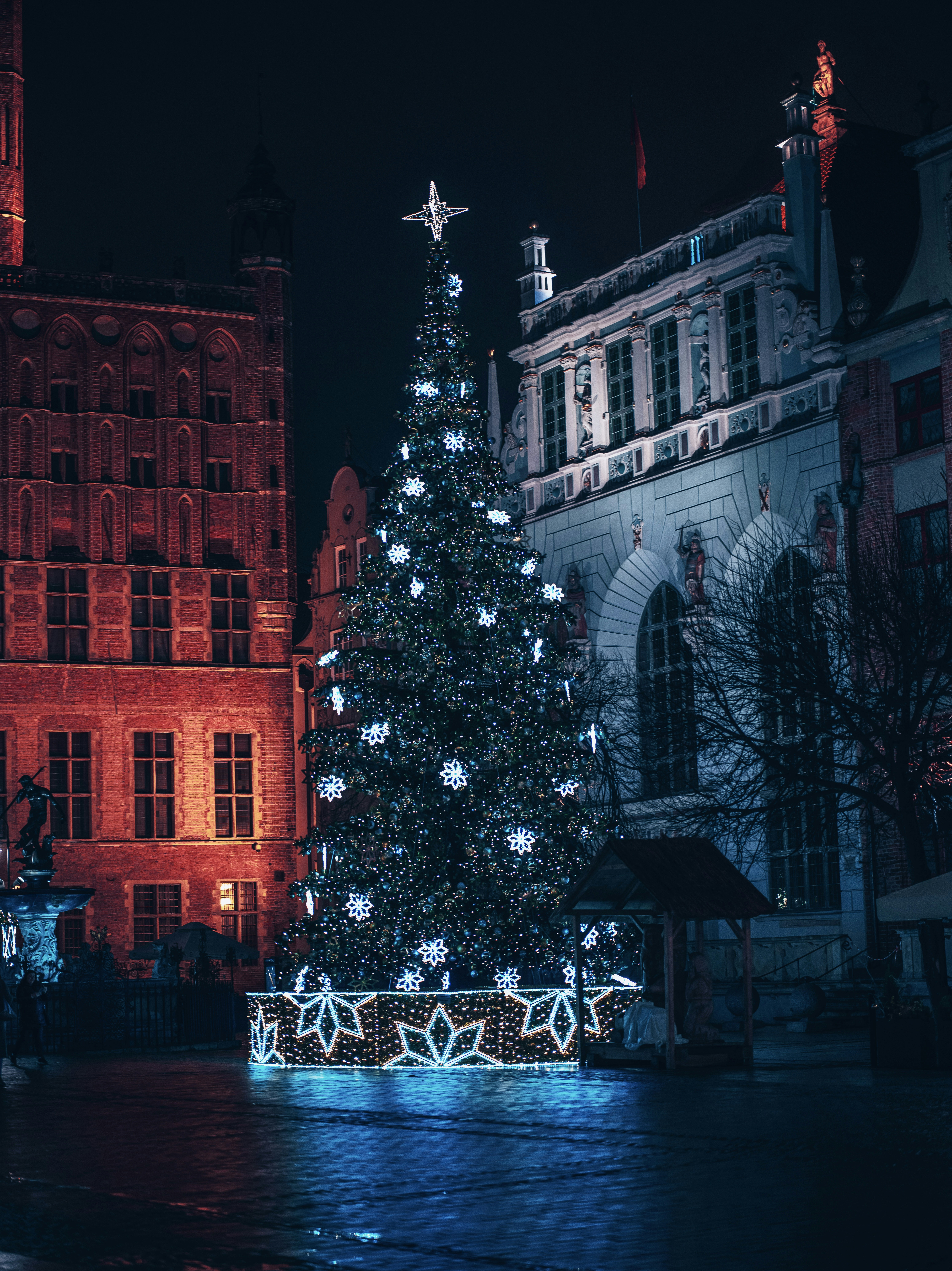 A lit christmas tree in front of a large building photo – Free Chrismas ...