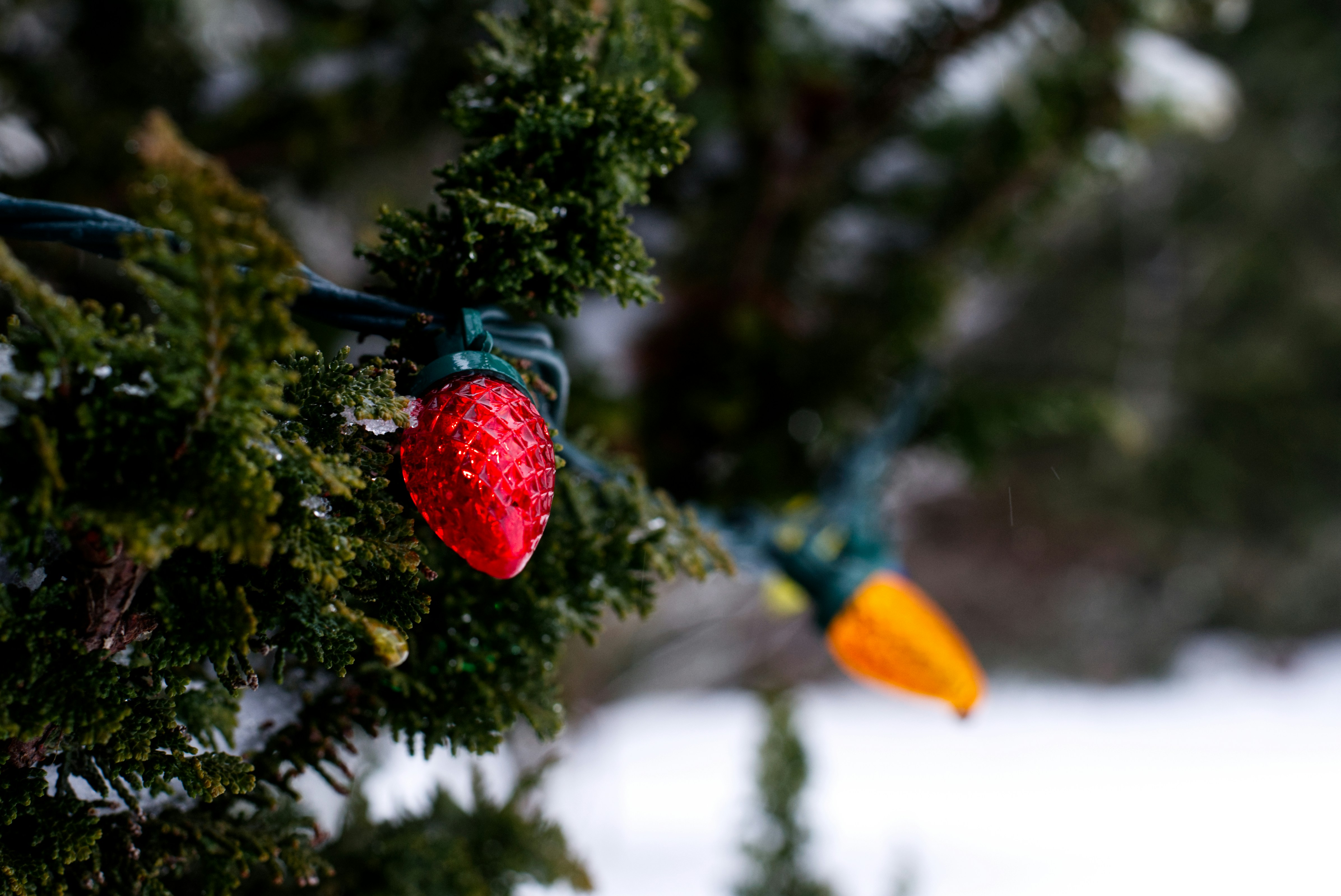 Christmas lights outside