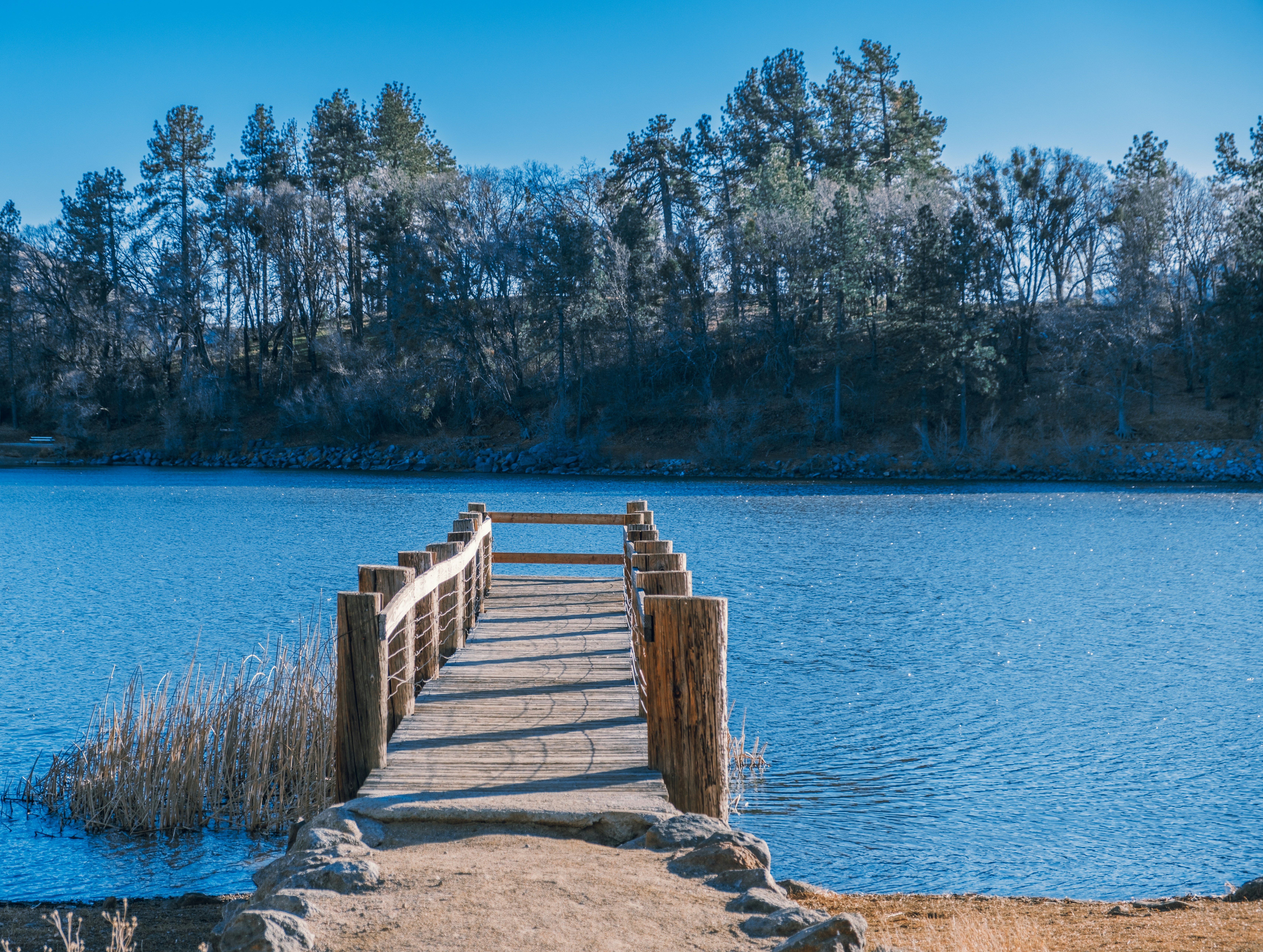 Foto Un muelle de madera sentado en la cima de un lago junto a un ...