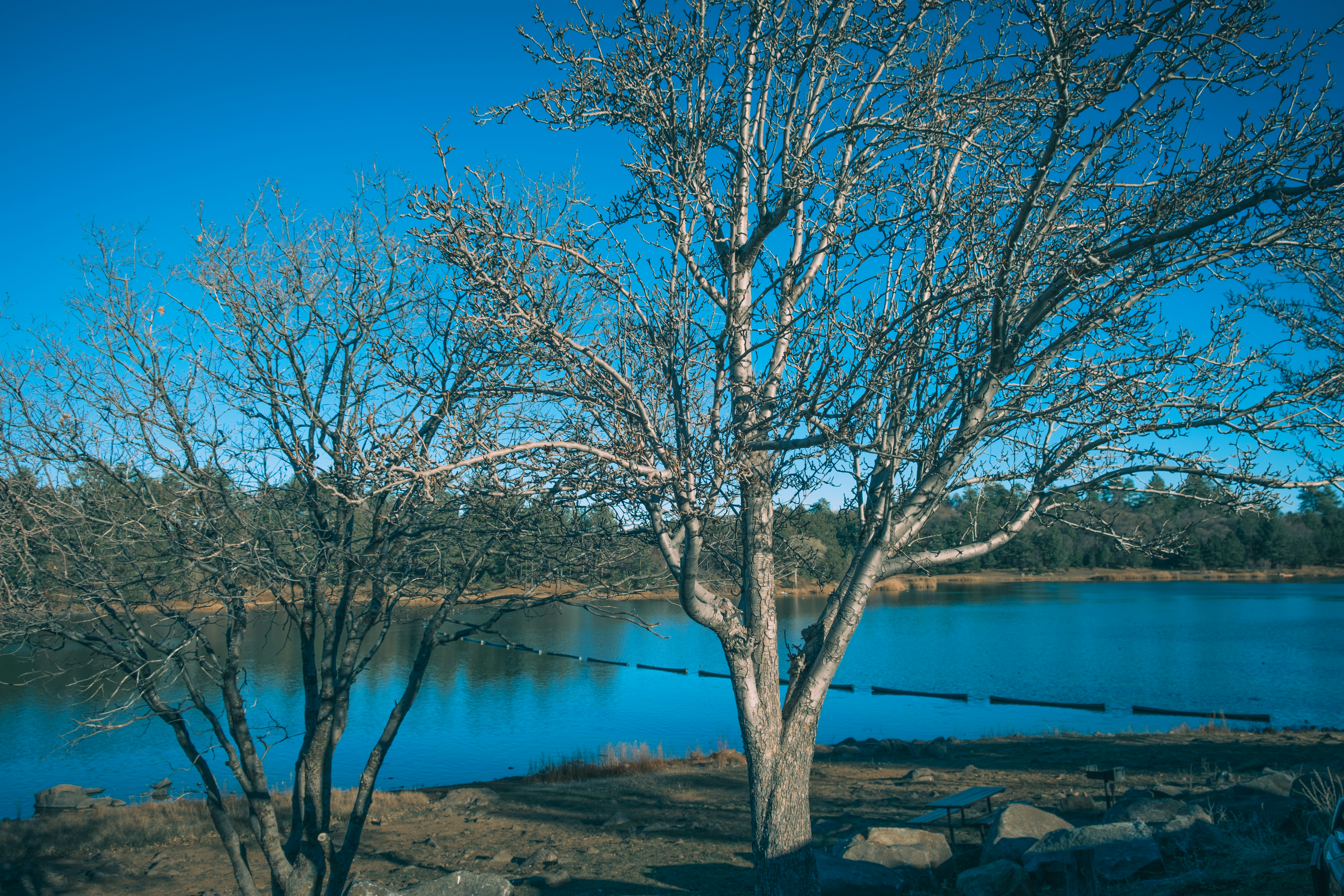 Tranquil Reflections by the Riverside