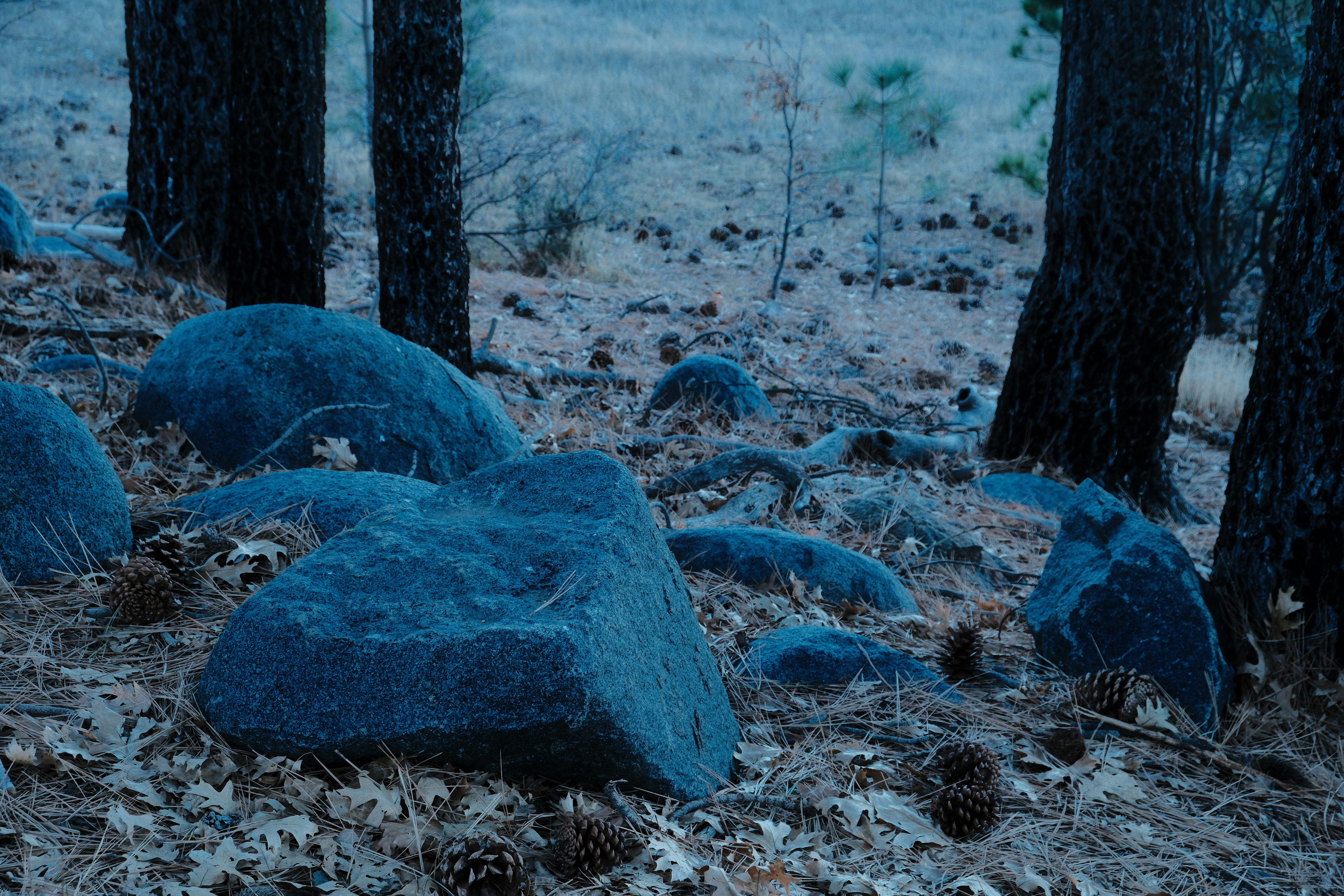 Photo by April Vasquez with Fujifilm X-T5