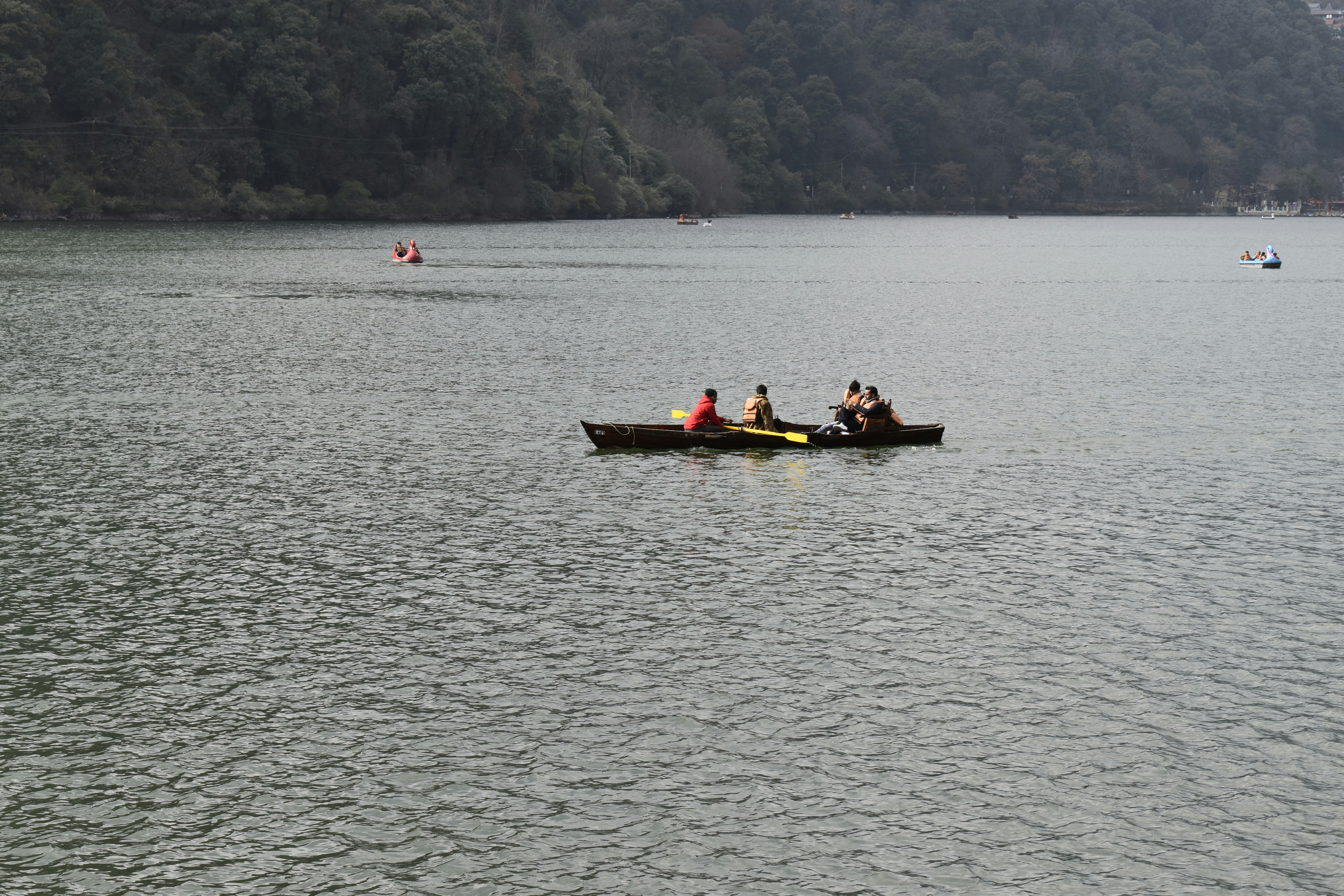 Quad of Rowers Drifting Across a Calm Lake