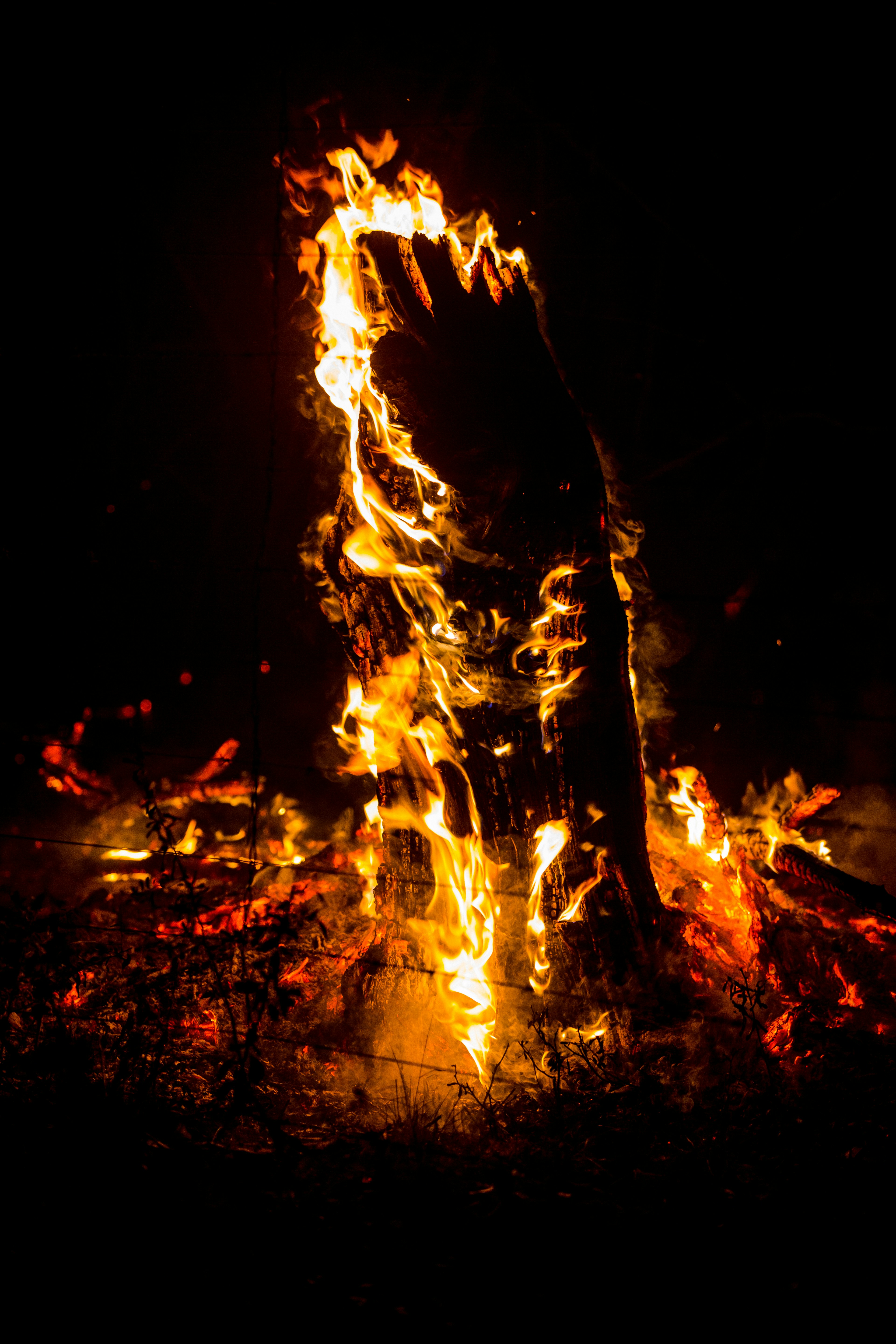 A fire is lit up in the dark photo – Free Fire Image on Unsplash
