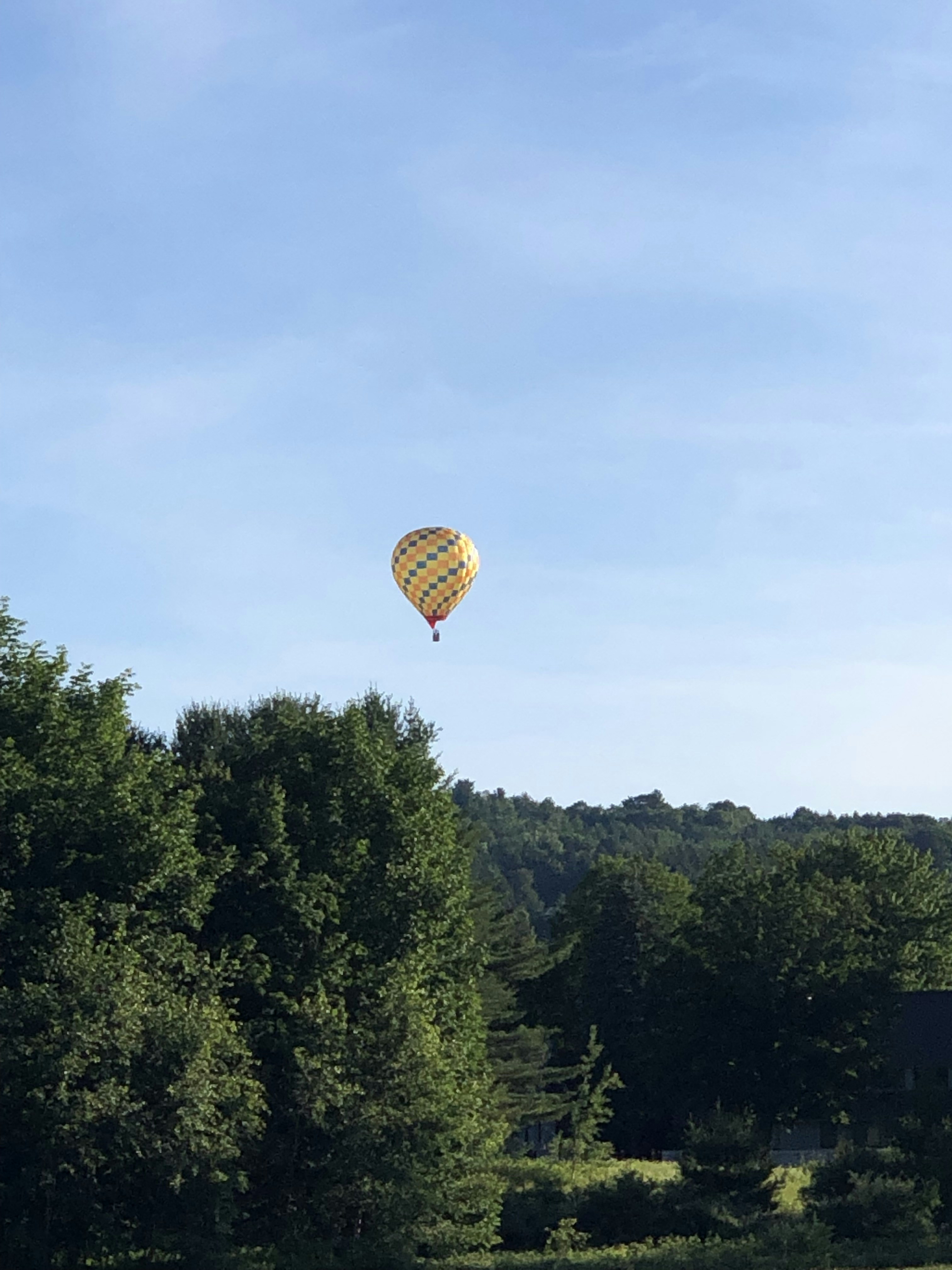 Checkered Yellow Balloon Drifts Above the Pines