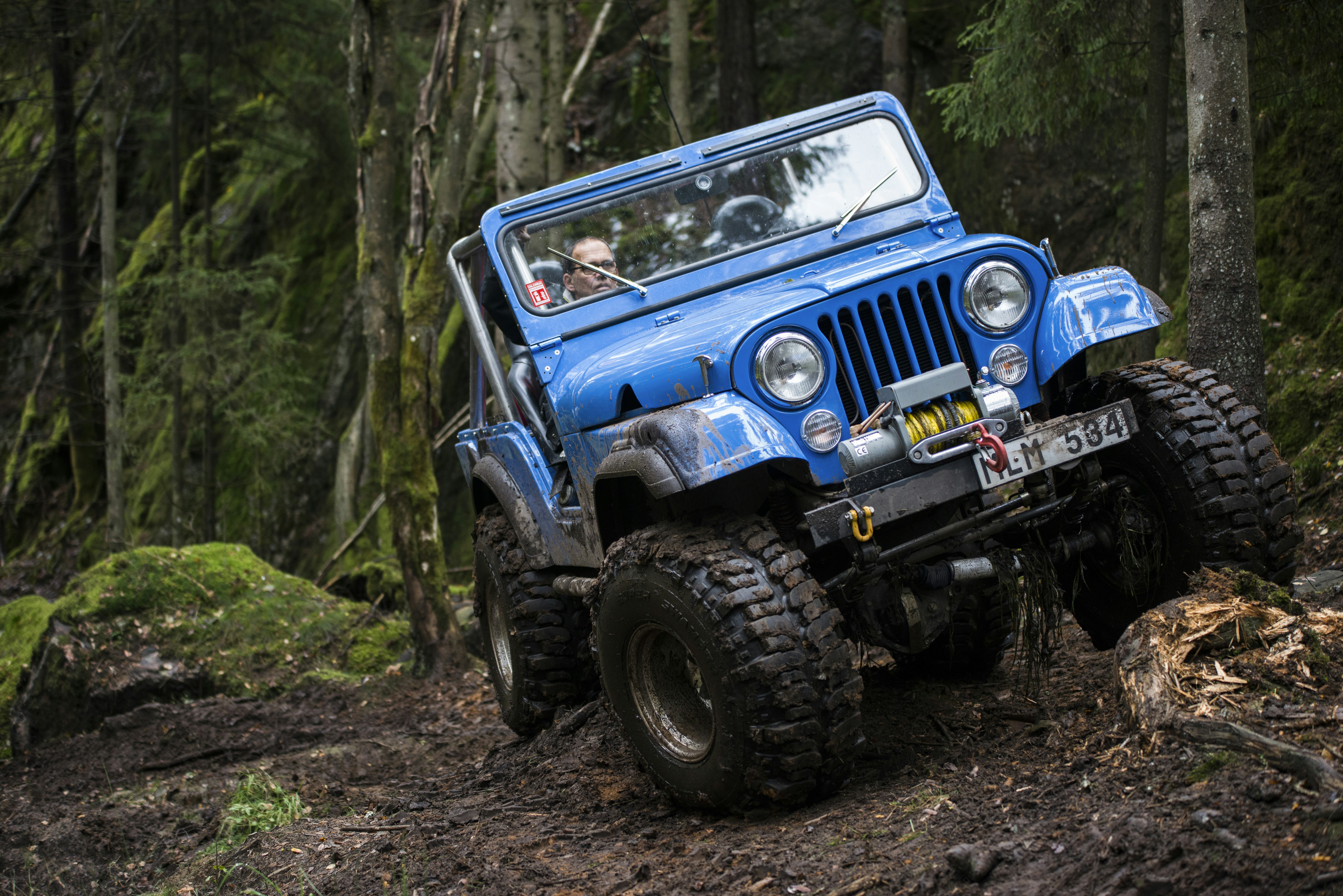 A blue jeep driving through a forest filled with trees photo – Free ...