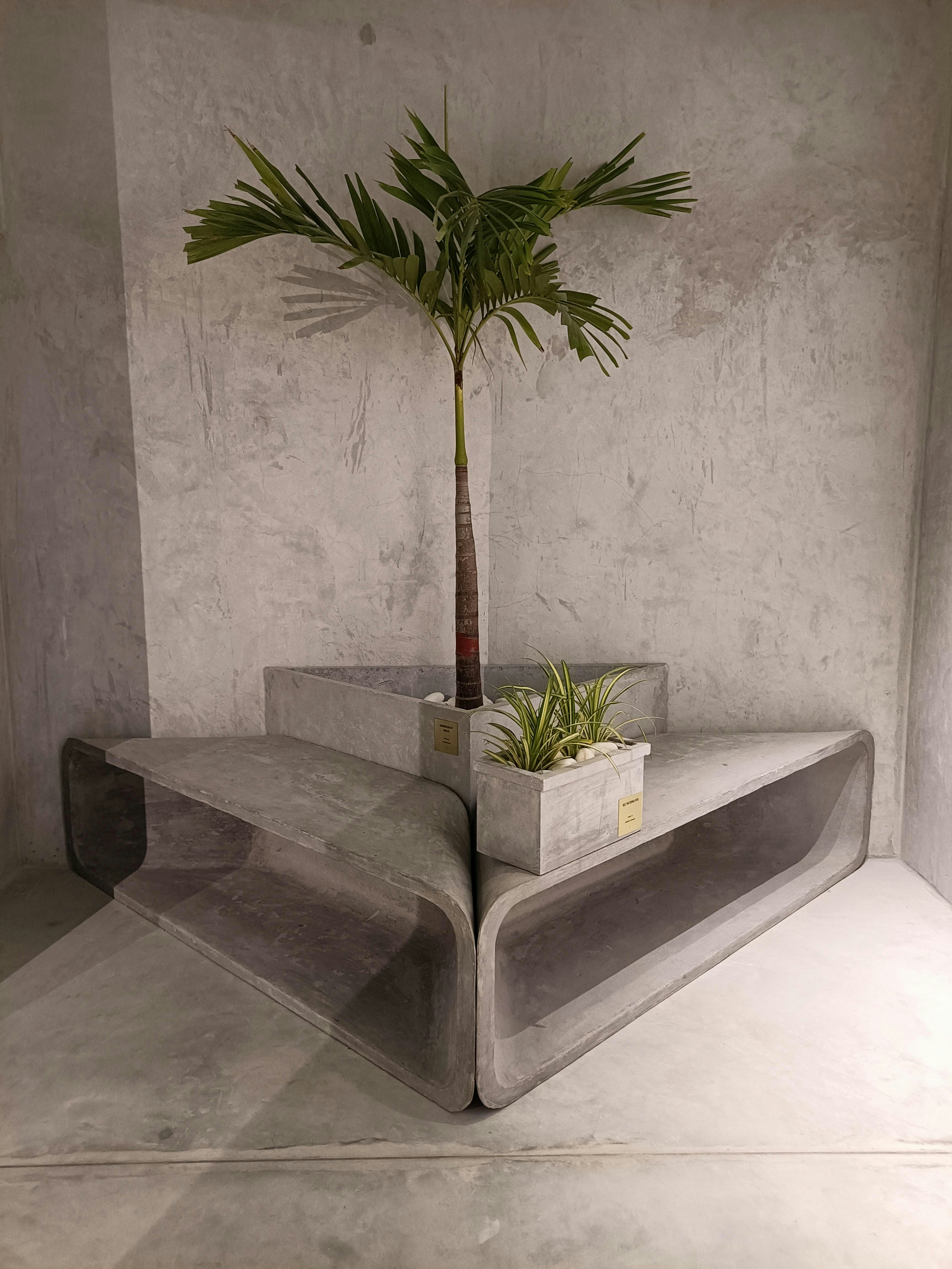 A modern concrete seating arrangement featuring a potted palm tree and greenery, set against a textured gray wall. The design highlights a blend of natural and industrial elements.