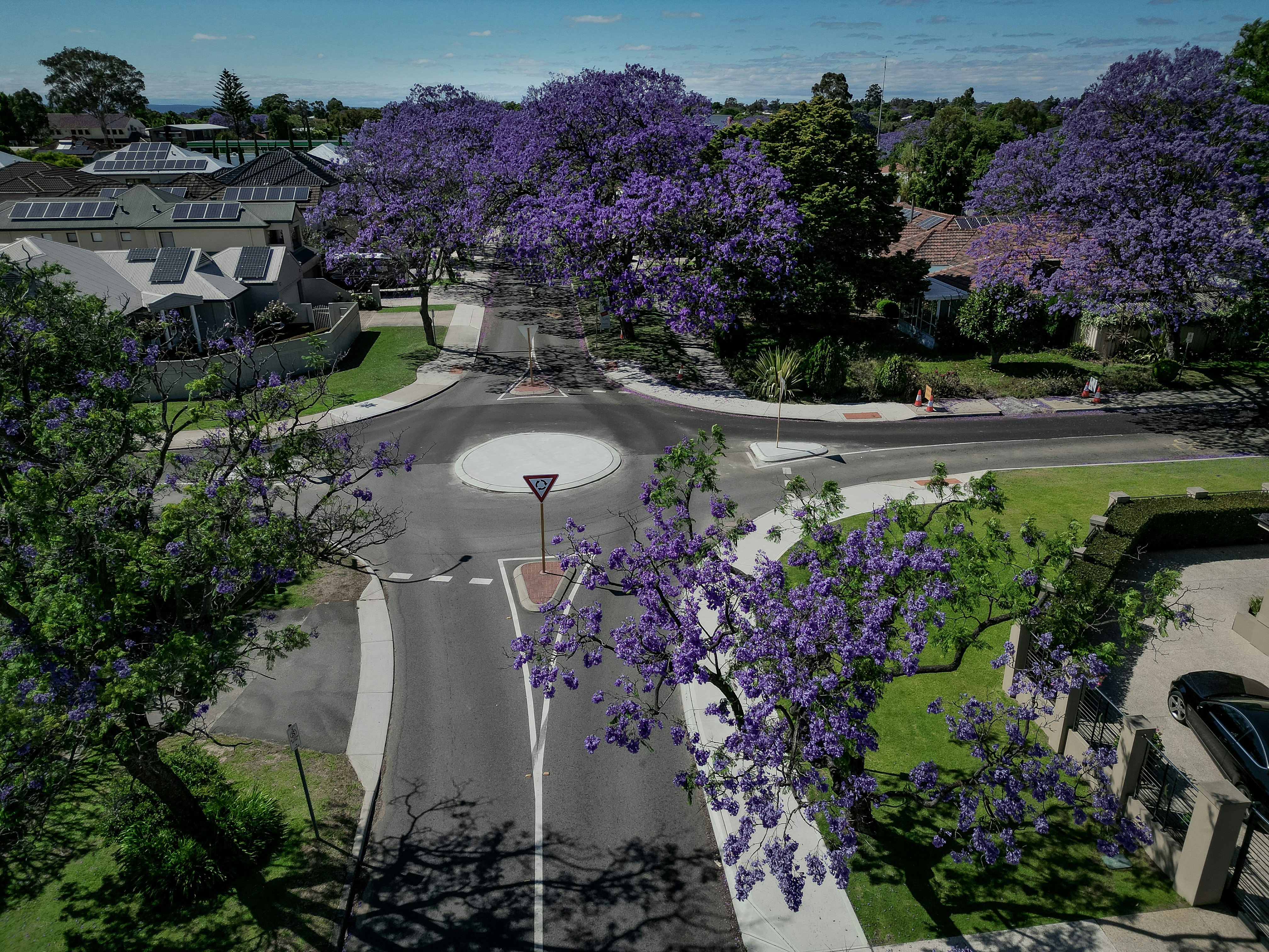 An aerial view of a street intersection with purple trees photo – Free ...